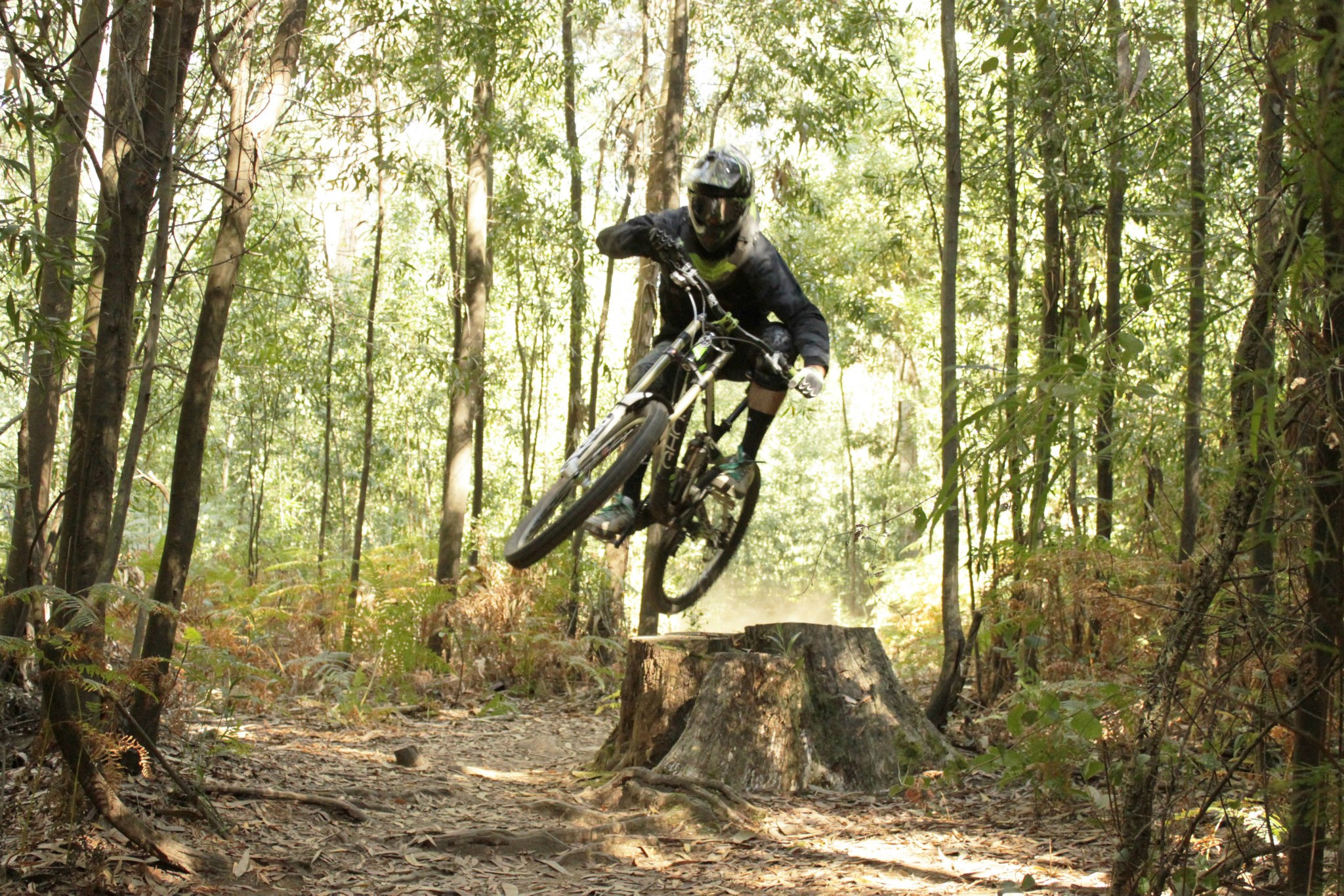 Scrub - DoubleCrownKing - Mountain Biking Pictures - Vital MTB