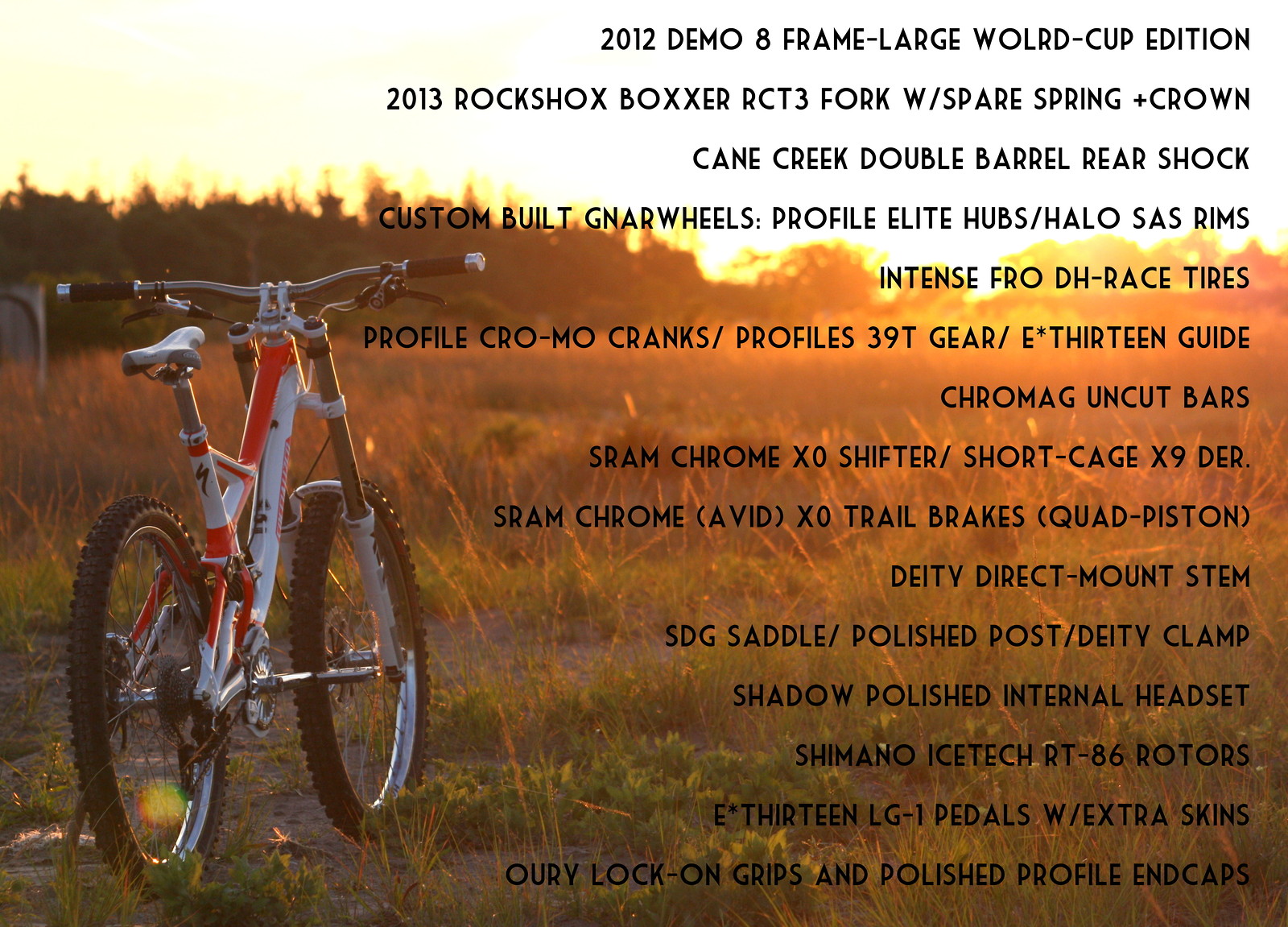 Specialized Demo 8 Chromed-out DH bike Custom - Girthbikes's Bike Check ...