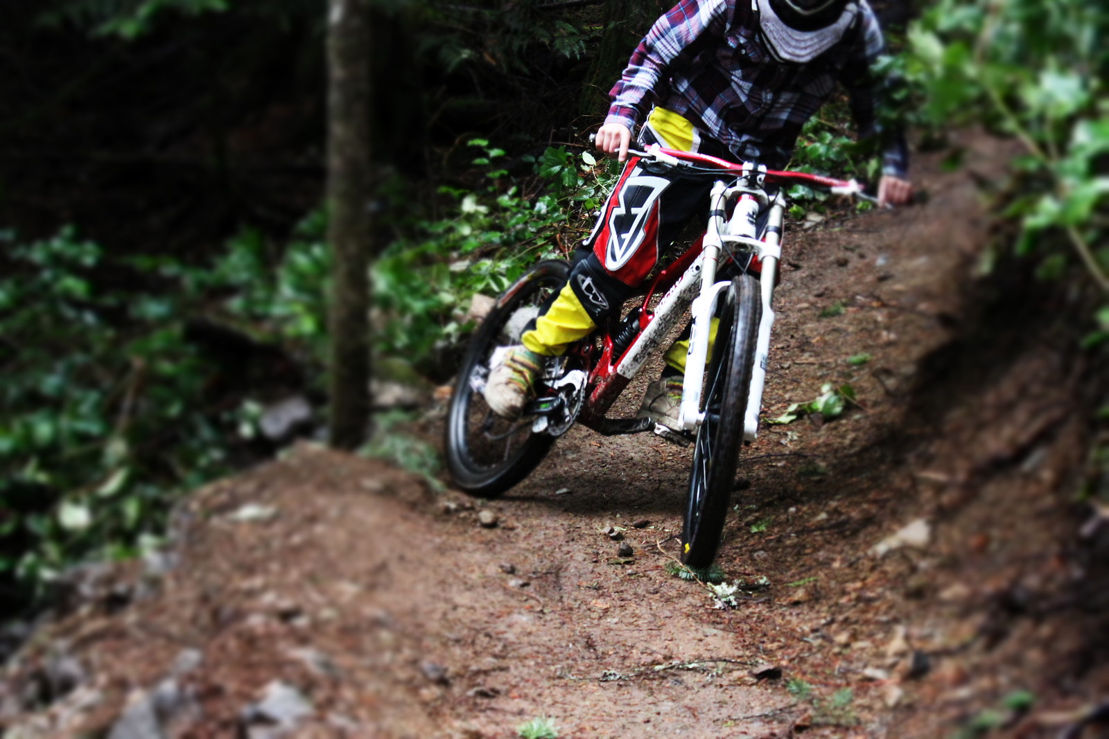 simon tellier - COLIN-GRANT - Mountain Biking Pictures - Vital MTB