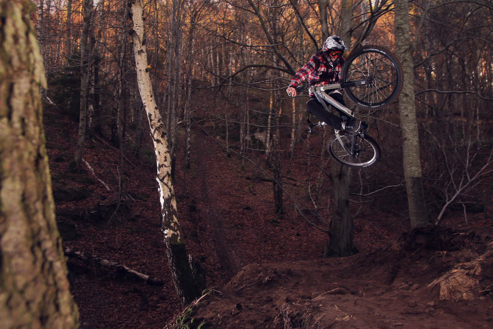 Step up - dingus - Mountain Biking Pictures - Vital MTB