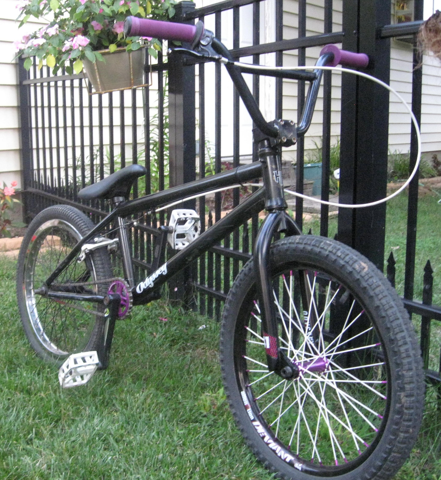 trail rider's Profile - Vital MTB