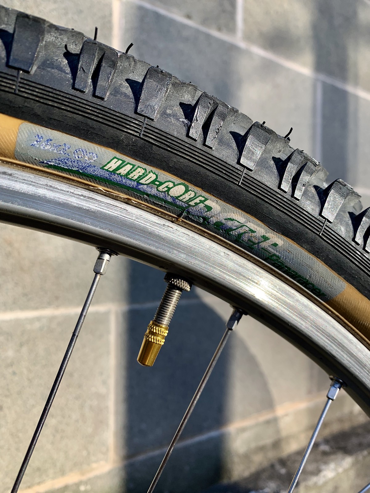 GT RTS 2 - JDM's Bike Check - Vital MTB