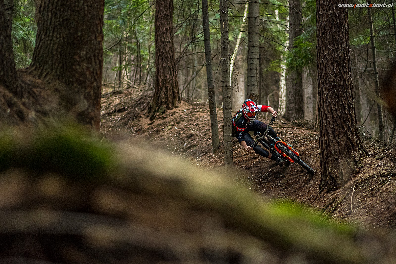 Tight by the tree - JacekSlonik - Mountain Biking Pictures - Vital MTB
