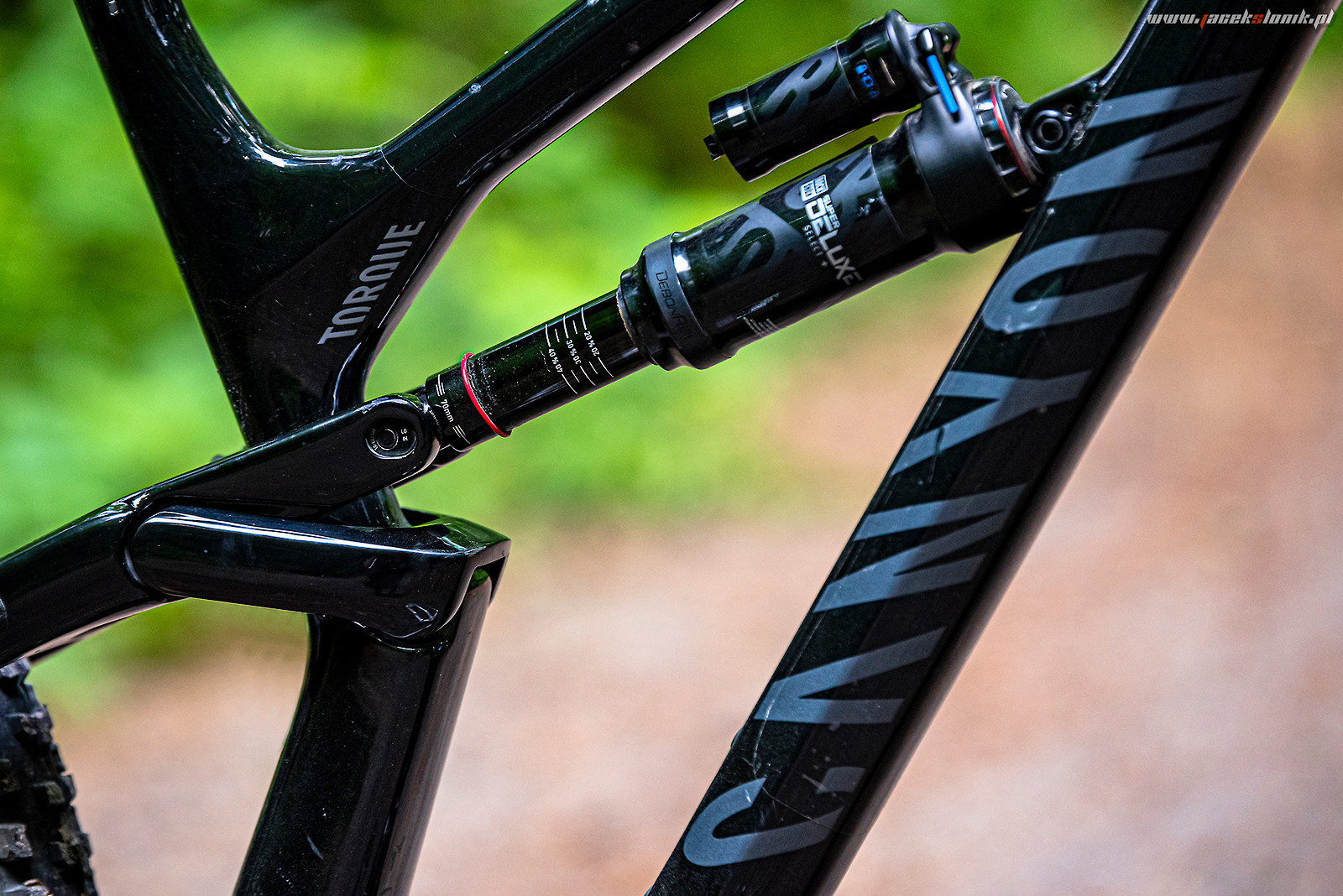 Canyon Torque 29 CF7 2022 slopeduro - JacekSlonik's Bike Check - Vital MTB