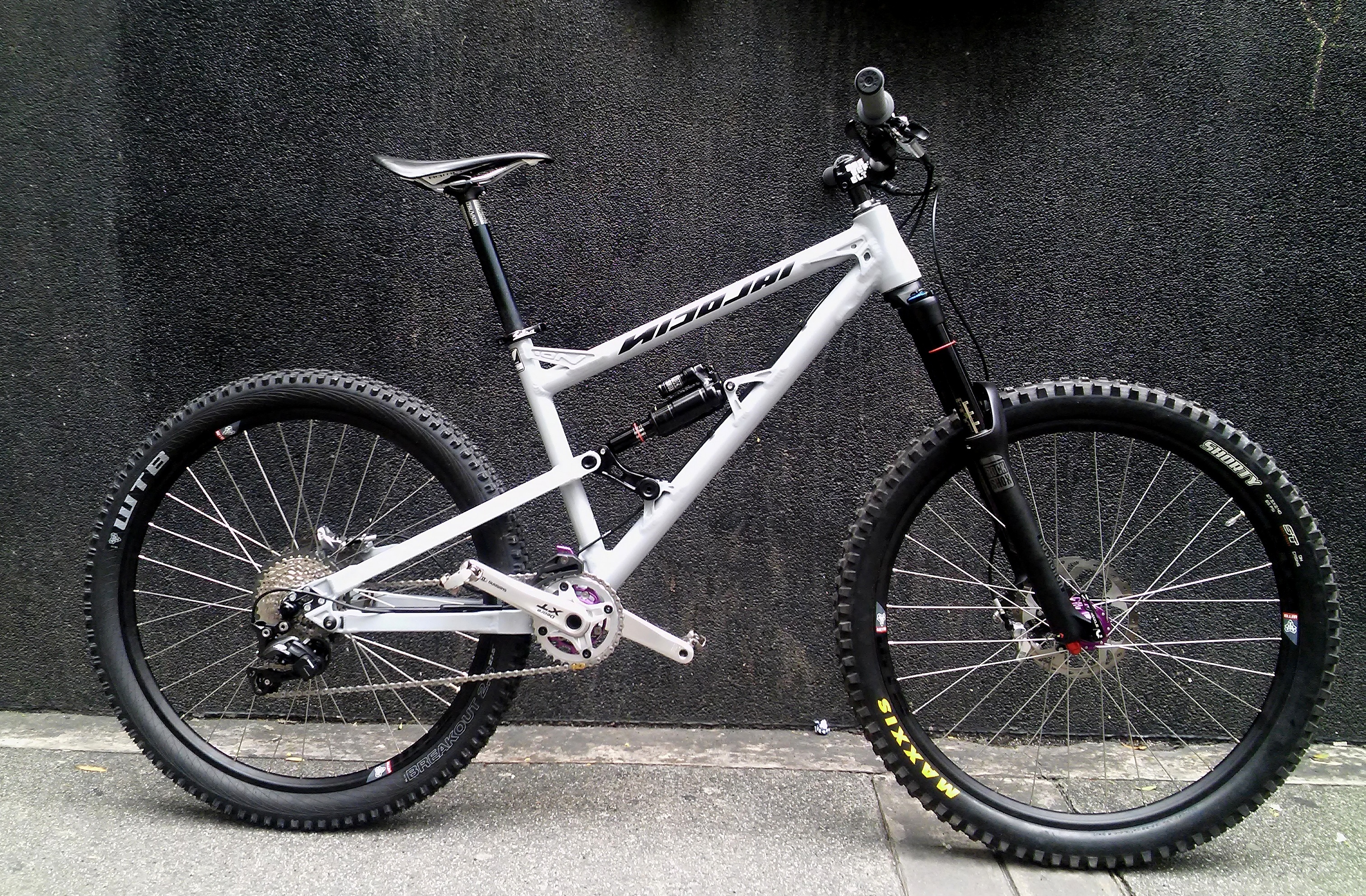 Nicolai Ion 16 - franz.victoria's Bike Check - Vital MTB