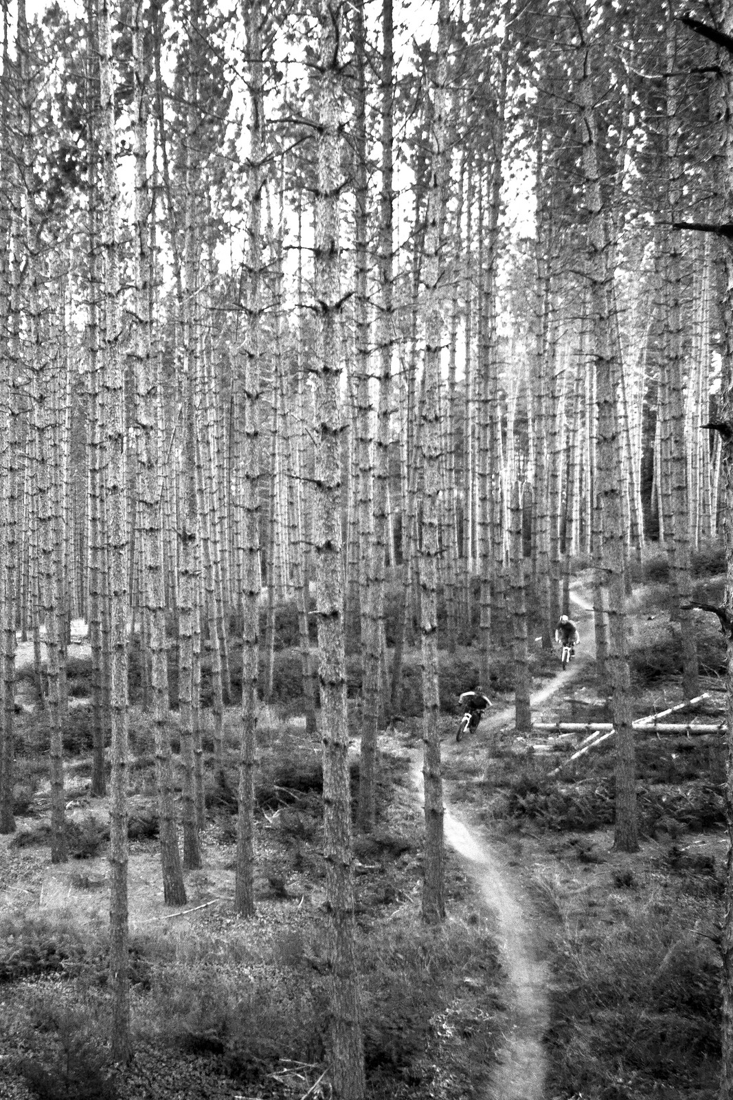 MTB Bucket List - 8 Places Todd Seplavy Says You Should Ride Once in ...