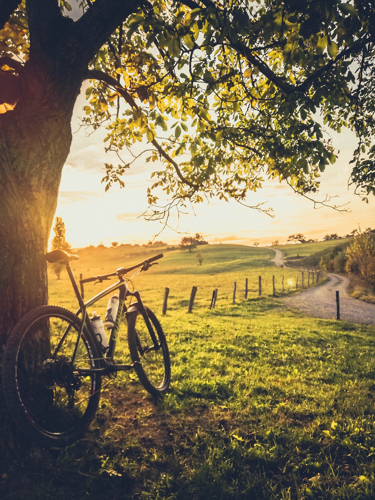 MTB life - Mitja Madon - Mountain Biking Pictures - Vital MTB