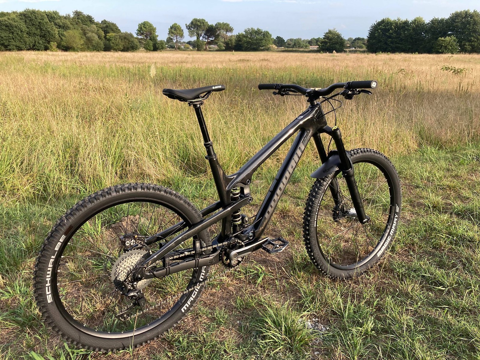 PROPAIN Spindrift CF DVO - loic.penel's Bike Check - Vital MTB