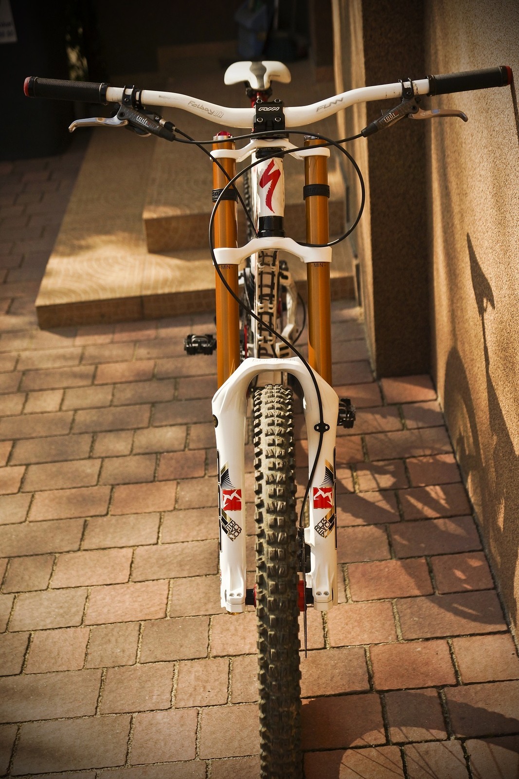 Specialized FSR DH Team - monster11pl's Bike Check - Vital MTB