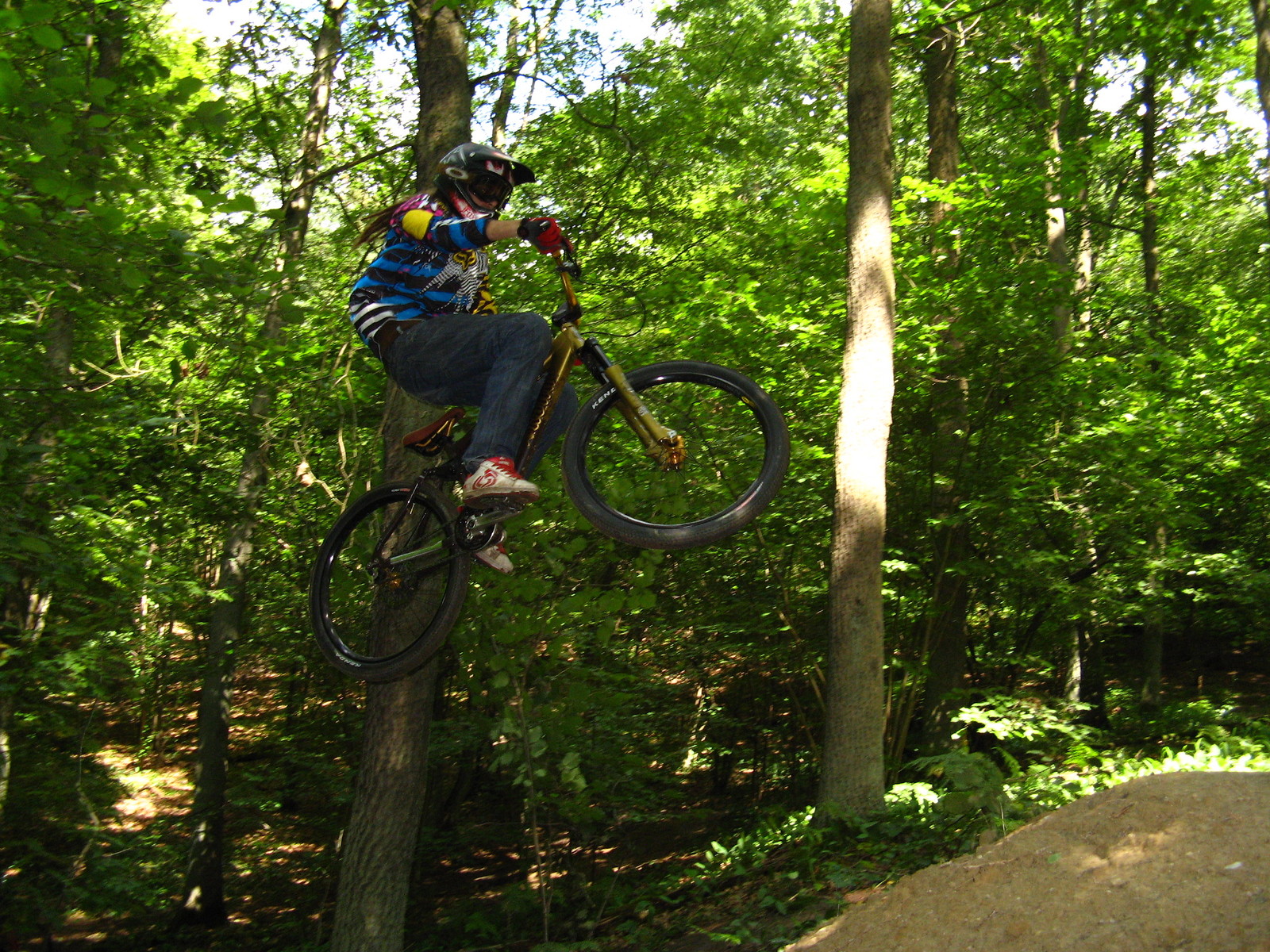step up - nopainnogame - Mountain Biking Pictures - Vital MTB
