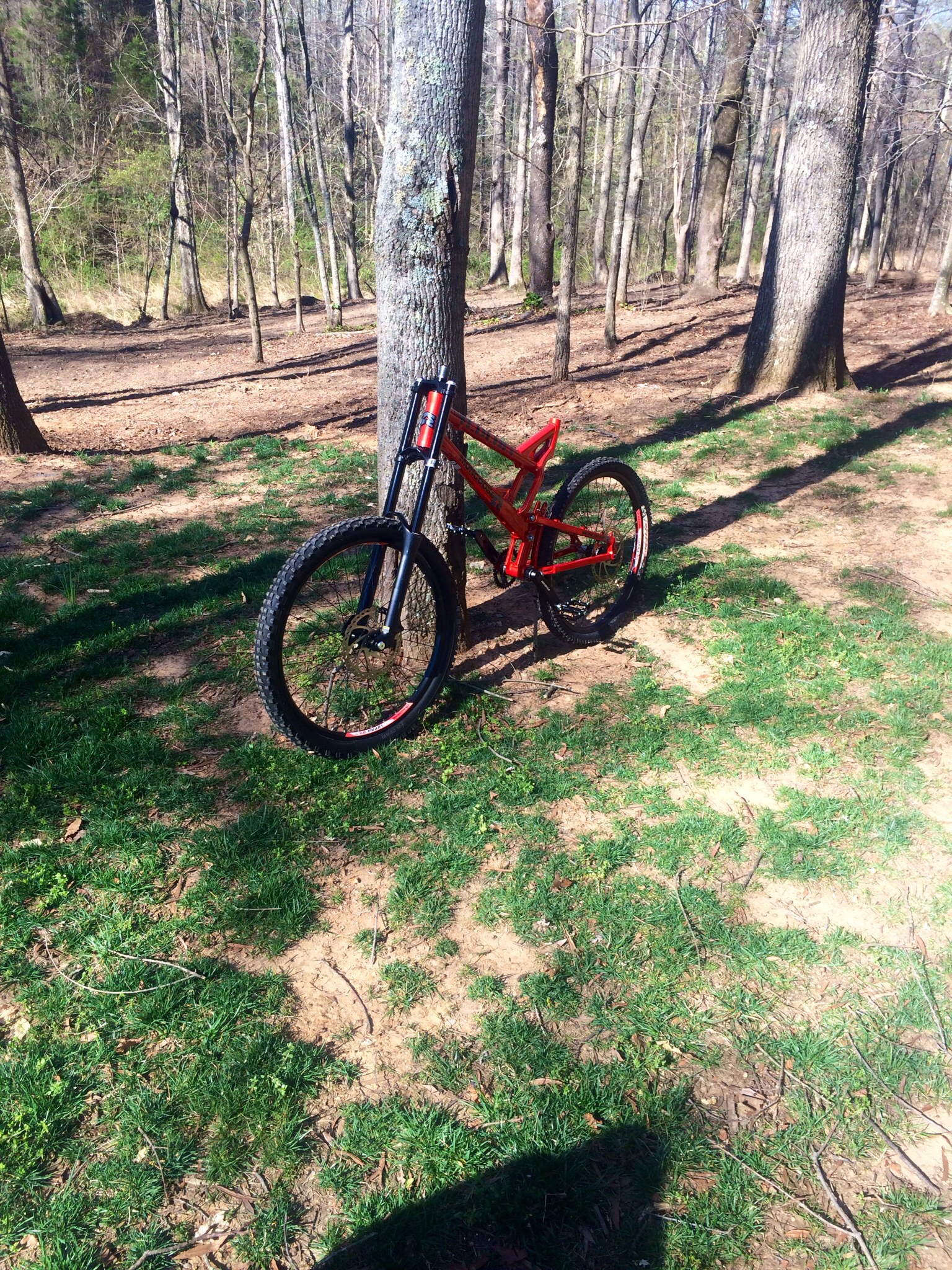 TheFearless1's Mongoose build - TheFearless1's Bike Check - Vital MTB