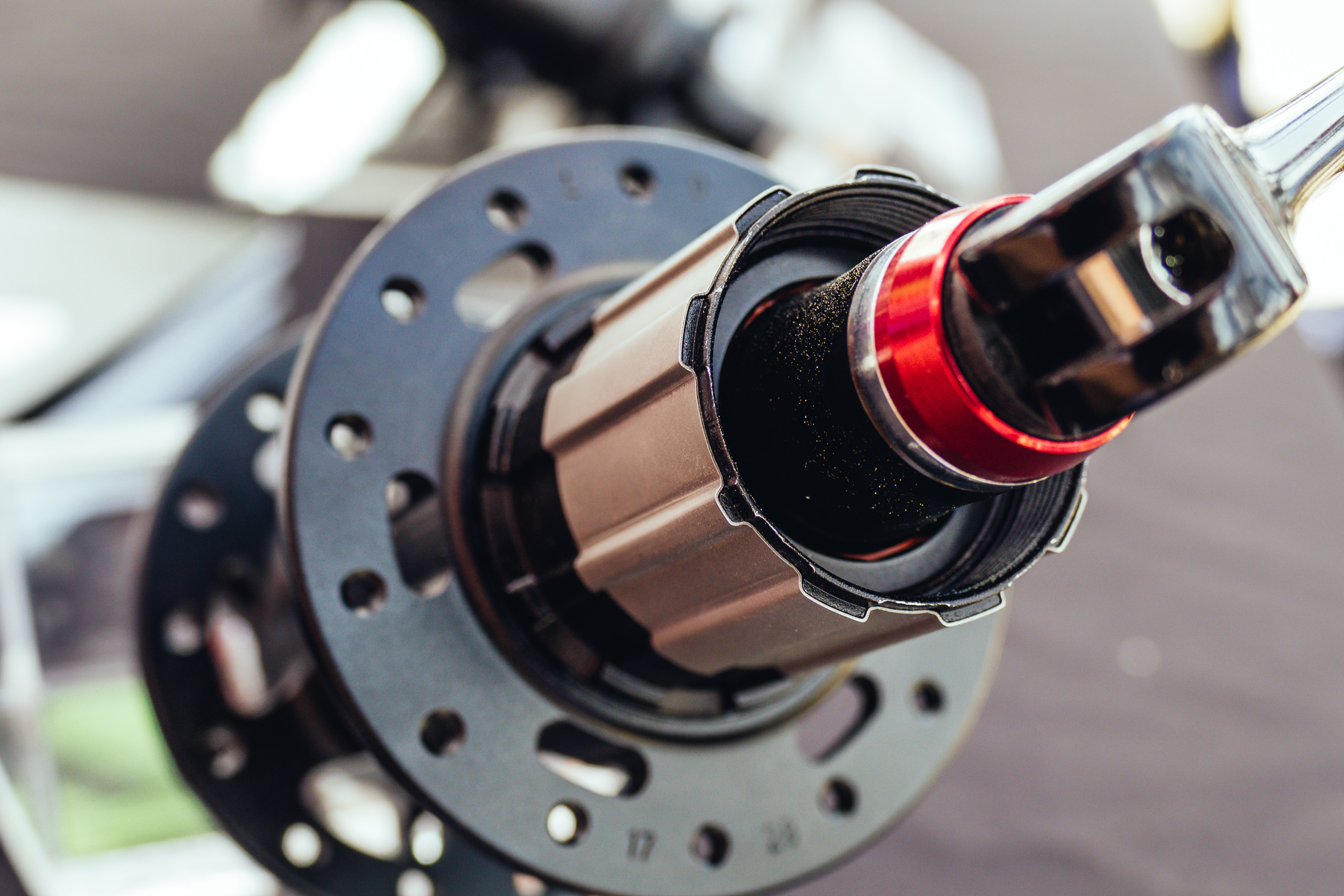 Bear Pawls Hubs by Alex - FredLikesTrikes - Mountain Biking Pictures ...