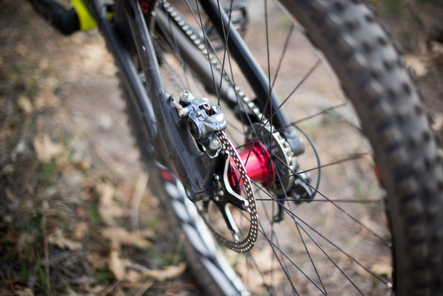 Caliper and 203mm 2-piece rotors - FredLikesTrikes - Mountain Biking ...