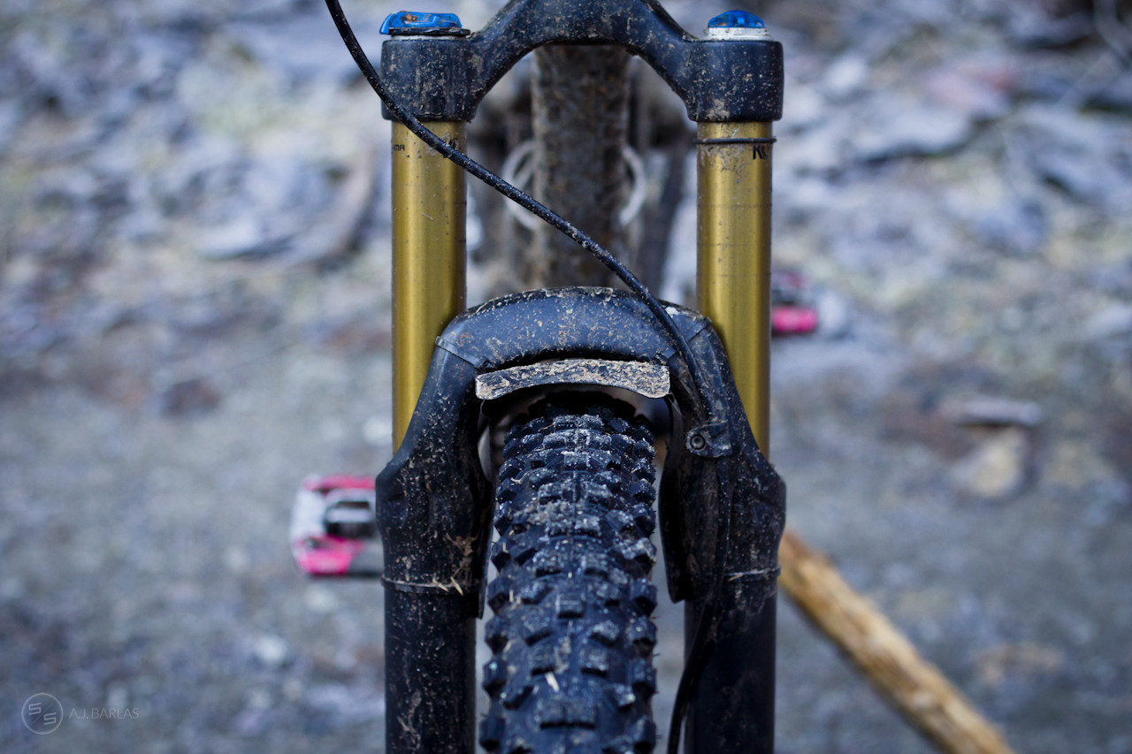 marsh-guard-040114-6875 - ardor - Mountain Biking Pictures - Vital MTB