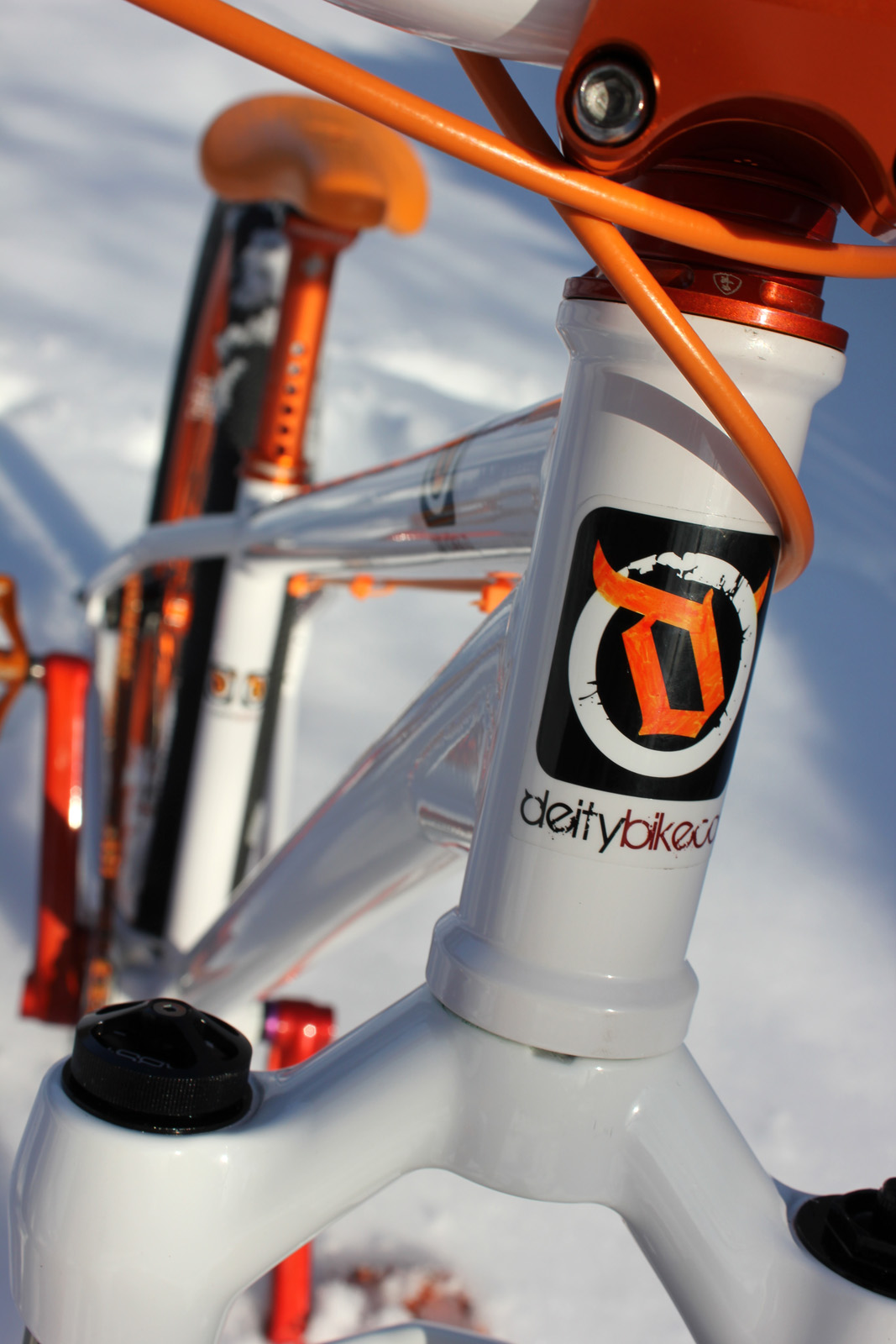 Deity Crypt Keeper - Dreamcycle - joe.lo.507679's Bike Check - Vital MTB