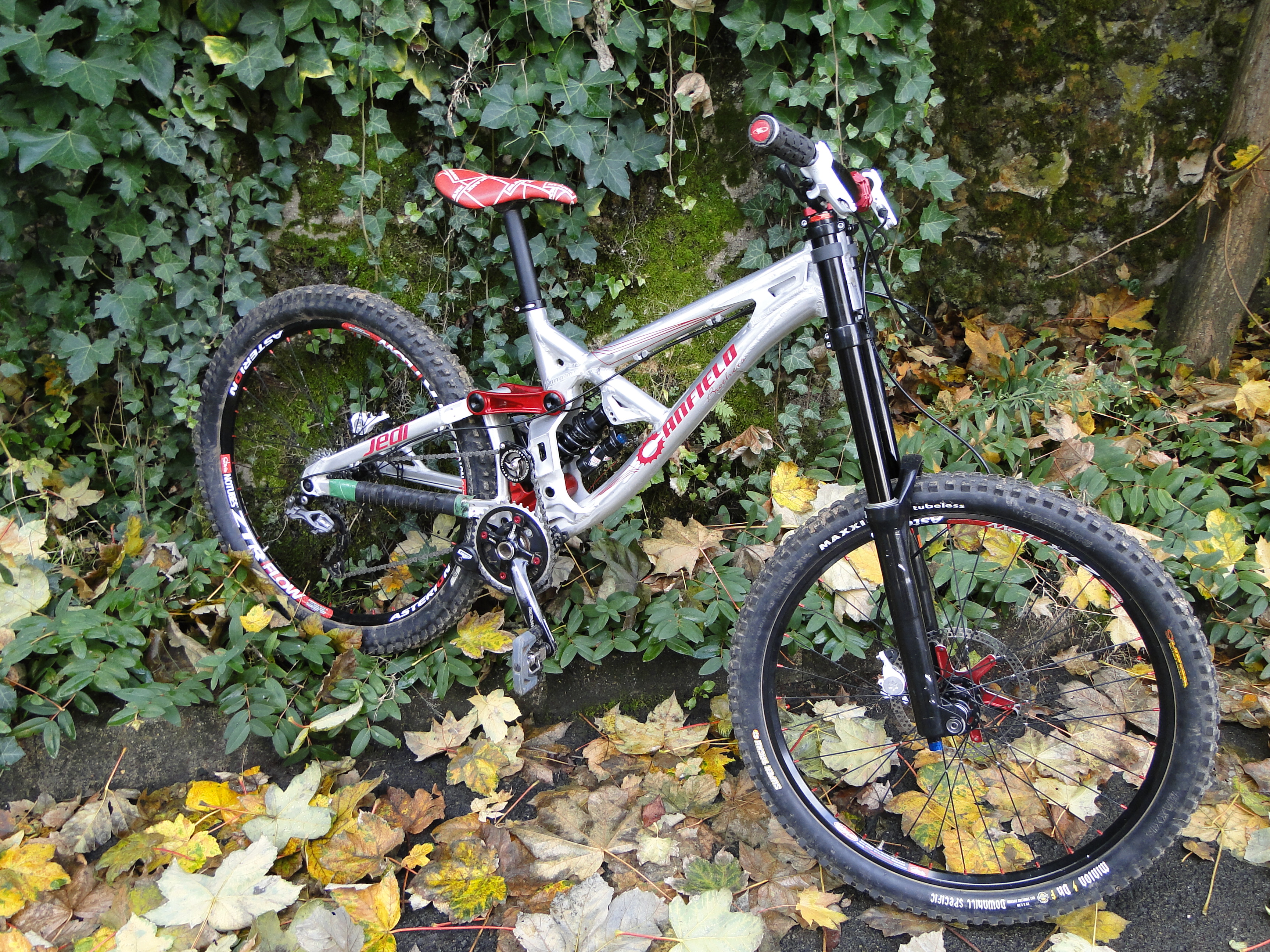 Stephanie - faul's Bike Check - Vital MTB