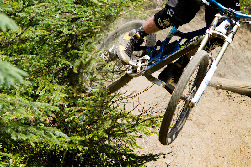 treetap - NoahBrousseau - Mountain Biking Pictures - Vital MTB