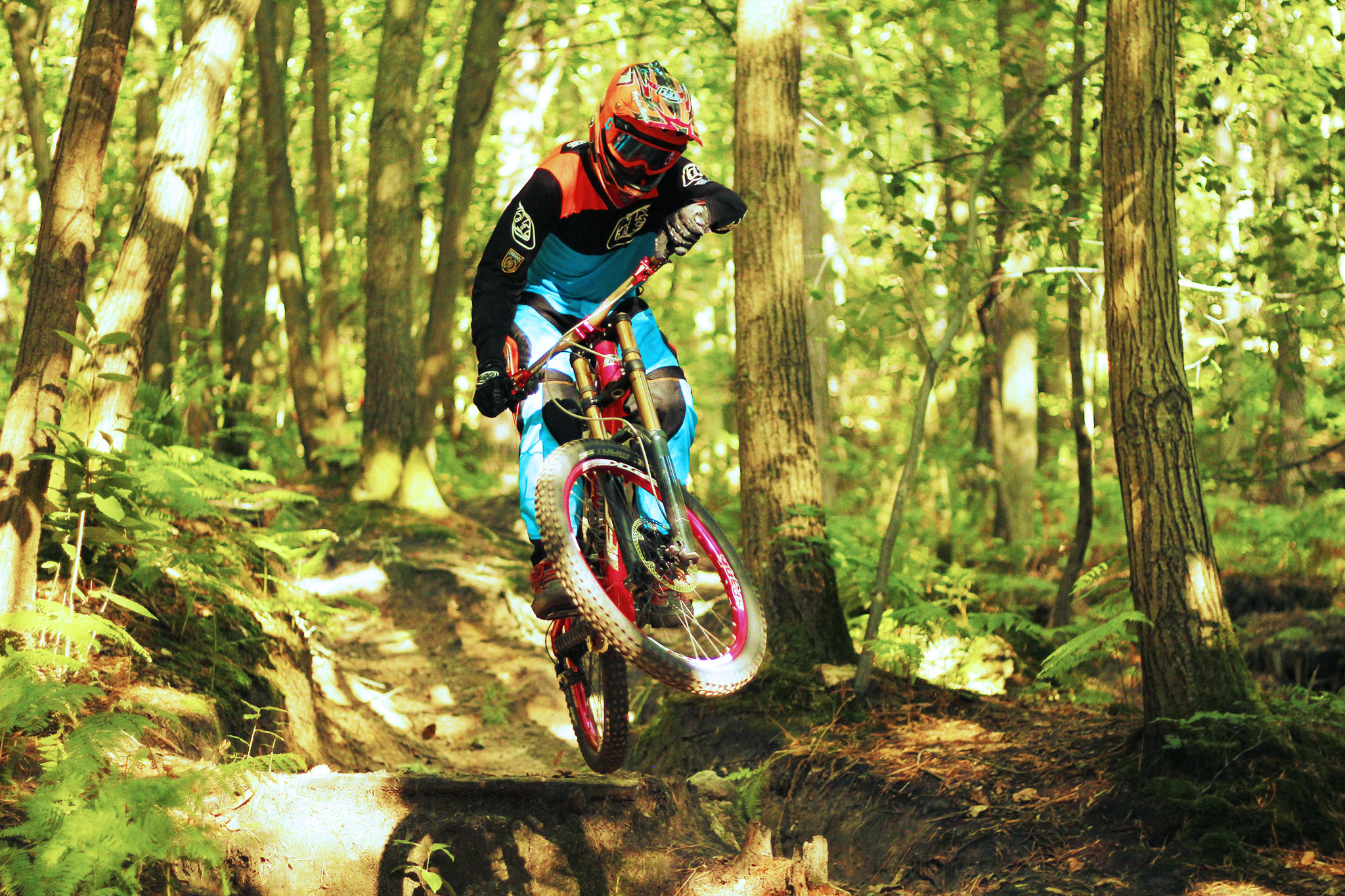 Shred - IRONRIDER - Mountain Biking Pictures - Vital MTB