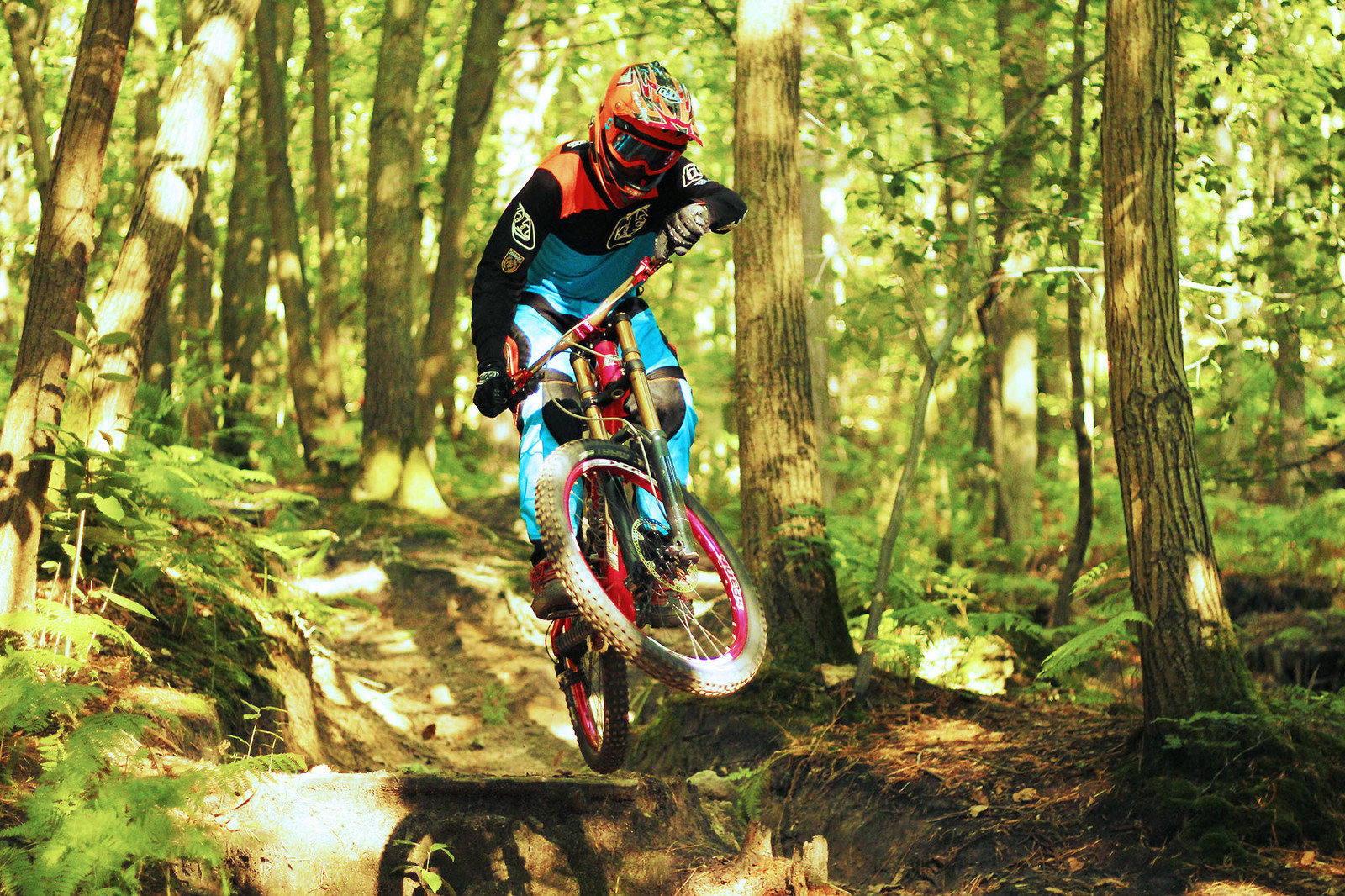 Shred - IRONRIDER - Mountain Biking Pictures - Vital MTB