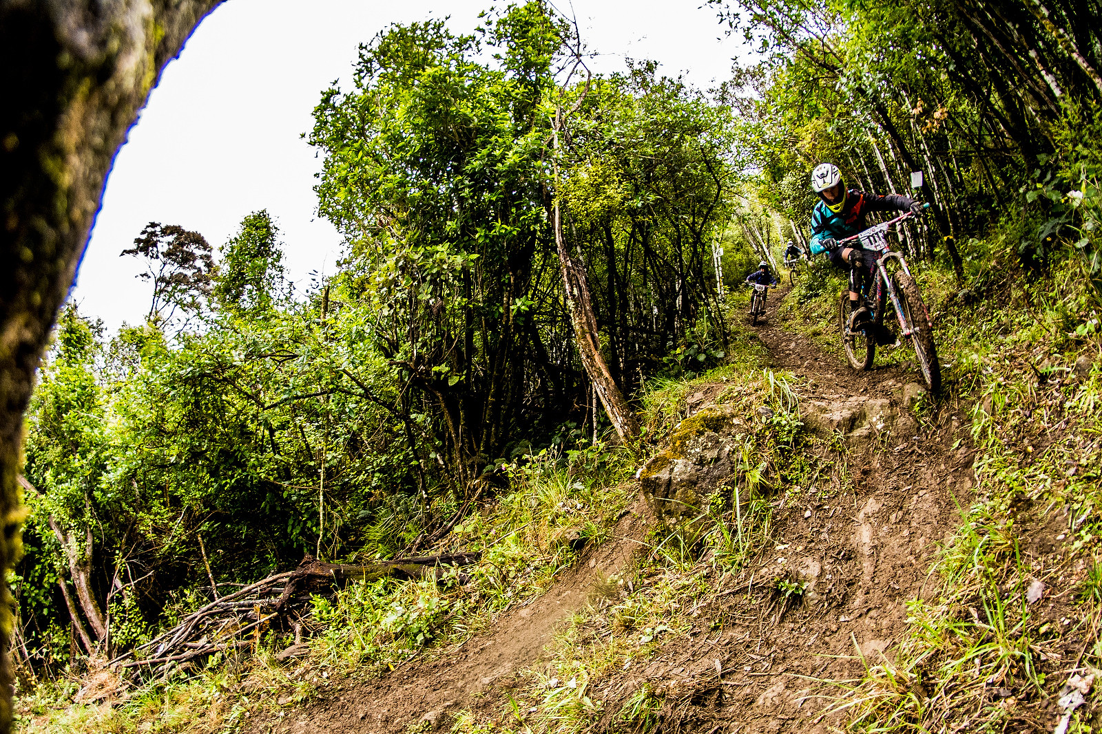 Ethan Grover - Giant Top Gun - New Zealand National 3, Downhill Race ...
