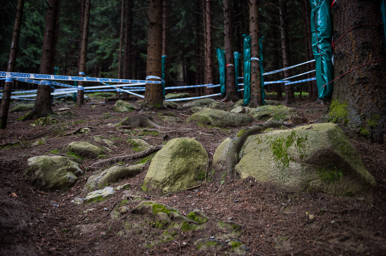 Mine Field - The Lourdes World Cup DH Track Preview - Mountain Biking ...