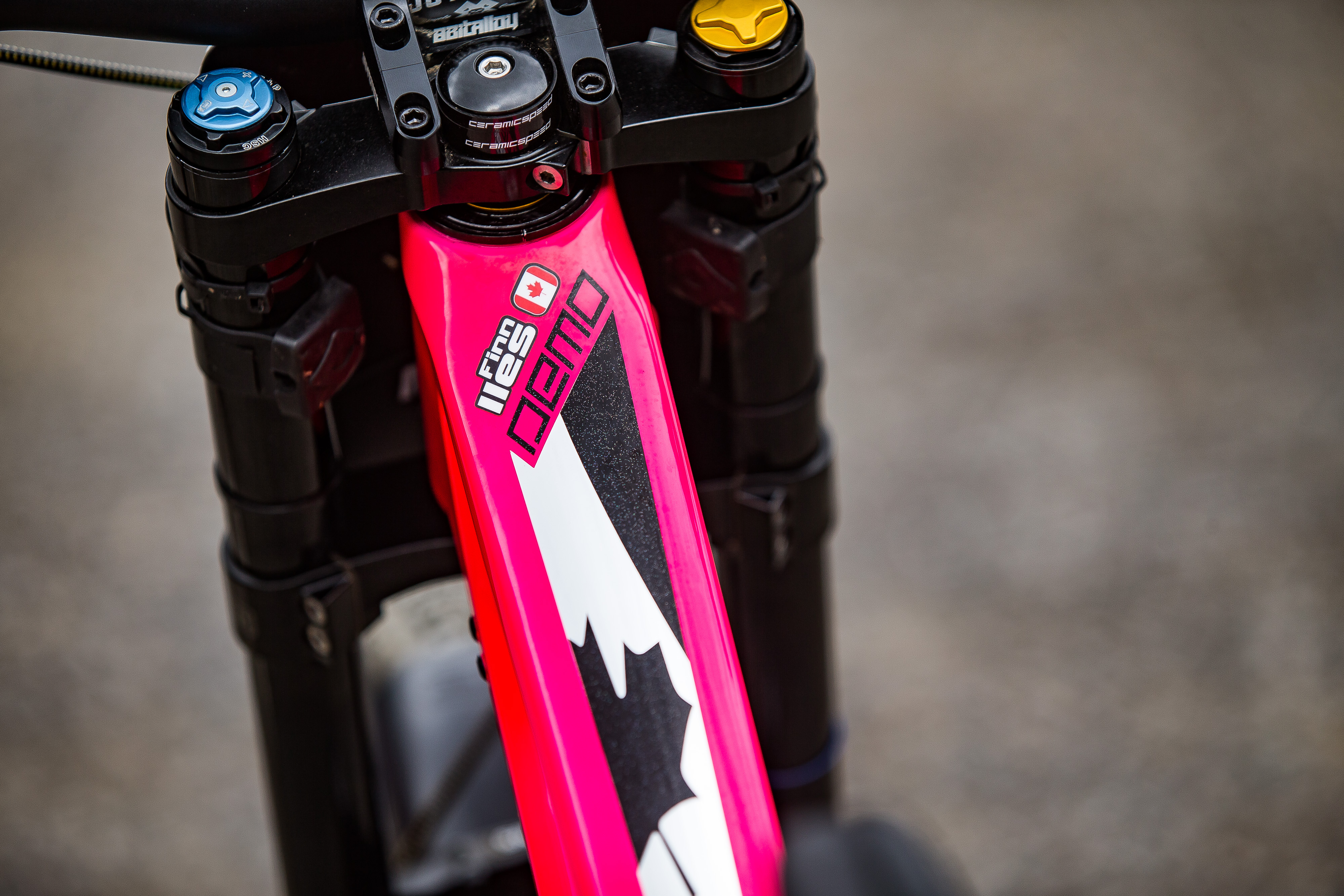 Custom Paint Job - WINNING BIKE: Finn Iles' Specialized S-Works Demo ...