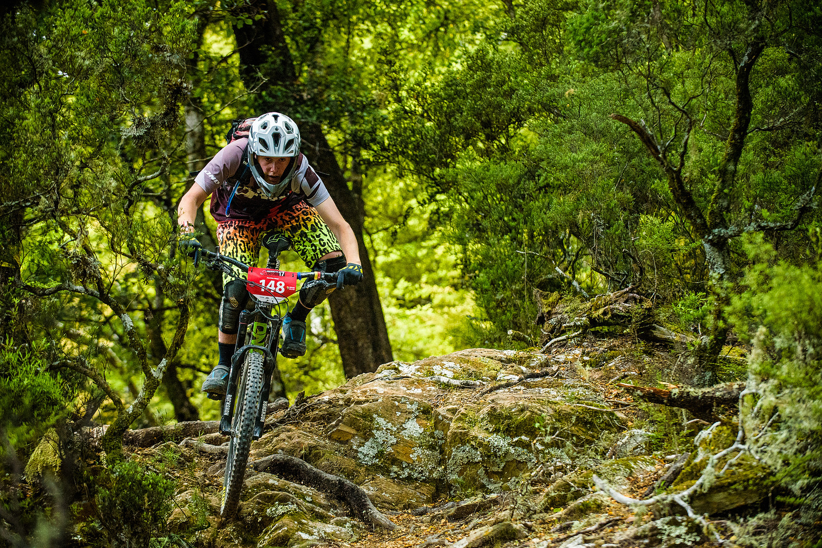 Callum Bryant - The NZ Mammoth Enduro Race Gallery - Mountain Biking ...