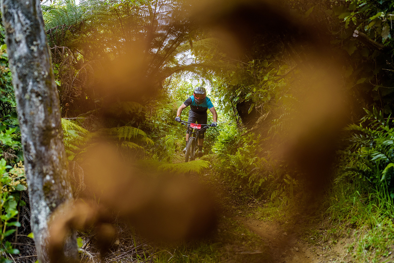 Nick Crocker - The NZ Mammoth Enduro Race Gallery - Mountain Biking Pictures - Vital MTB