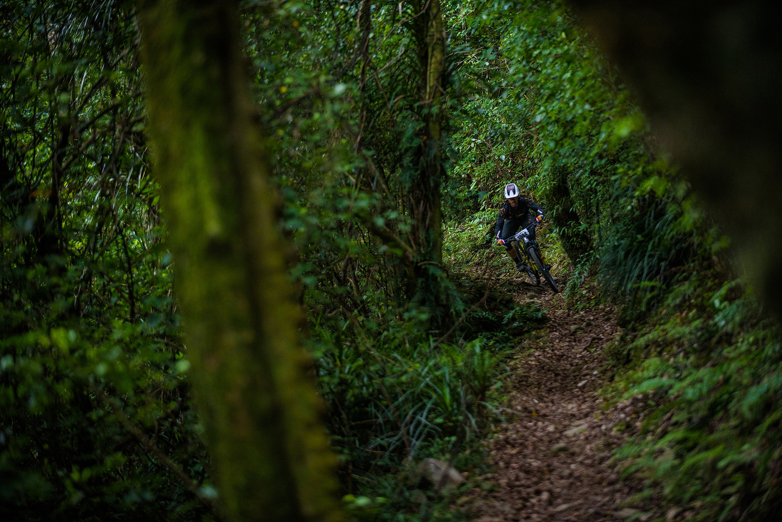 original_top_gun_slideshow_8.jpg - 2018 Nelson MTB Club Top Gun Event ...