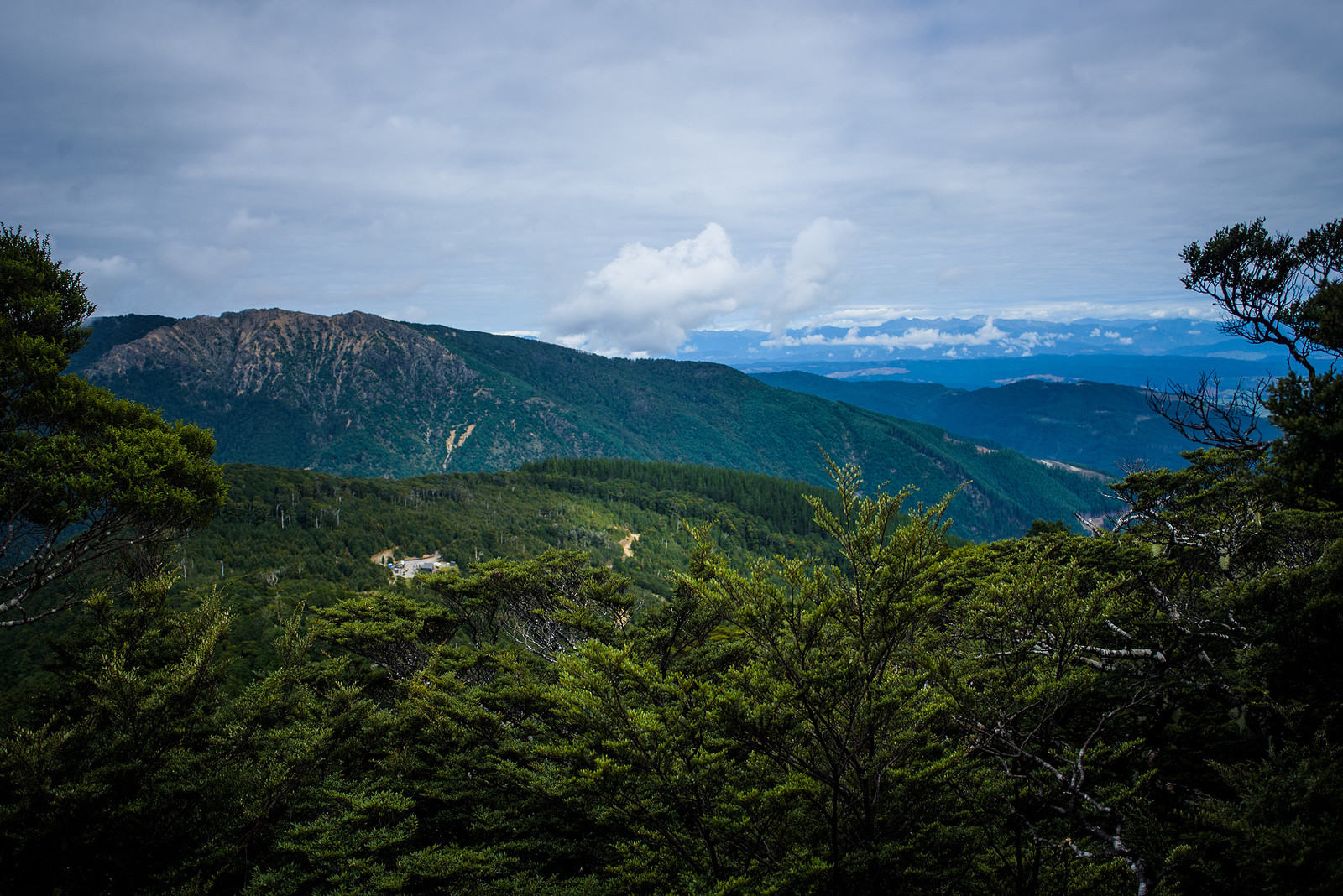 Wairoa Gorge - 2018 Dodzy Memorial Gallery & Race Report - Mountain ...