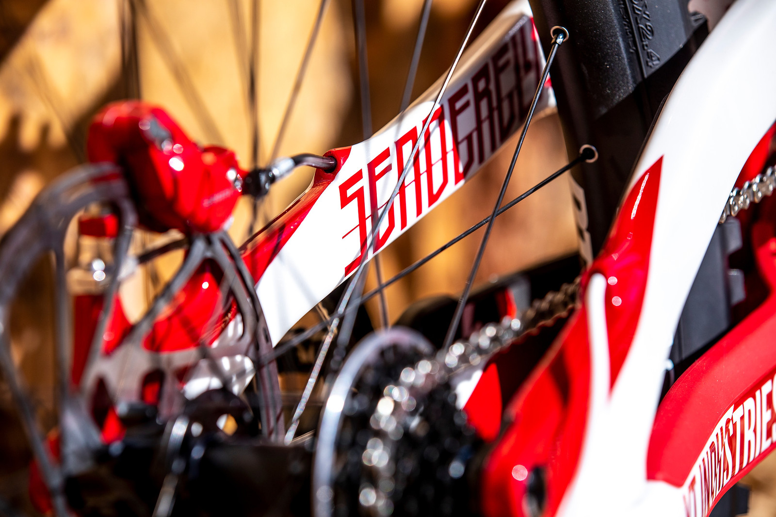 Senderella - WORLD CHAMPS BIKE - Vali Holl's YT TUES - Mountain Biking ...