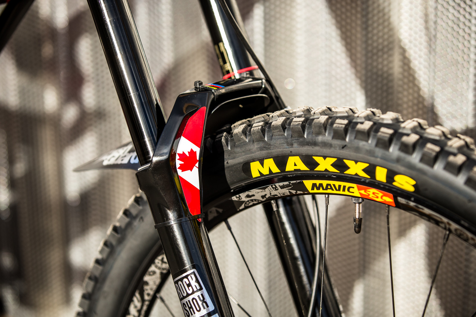 Maple Leaf - WORLD CHAMPS BIKES - Canyon Factory Racing - Mountain ...
