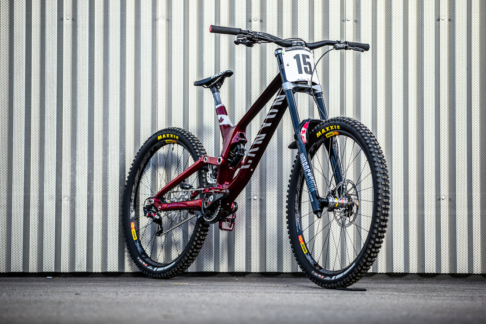Mark Wallace's Sender - WORLD CHAMPS BIKES - Canyon Factory Racing ...