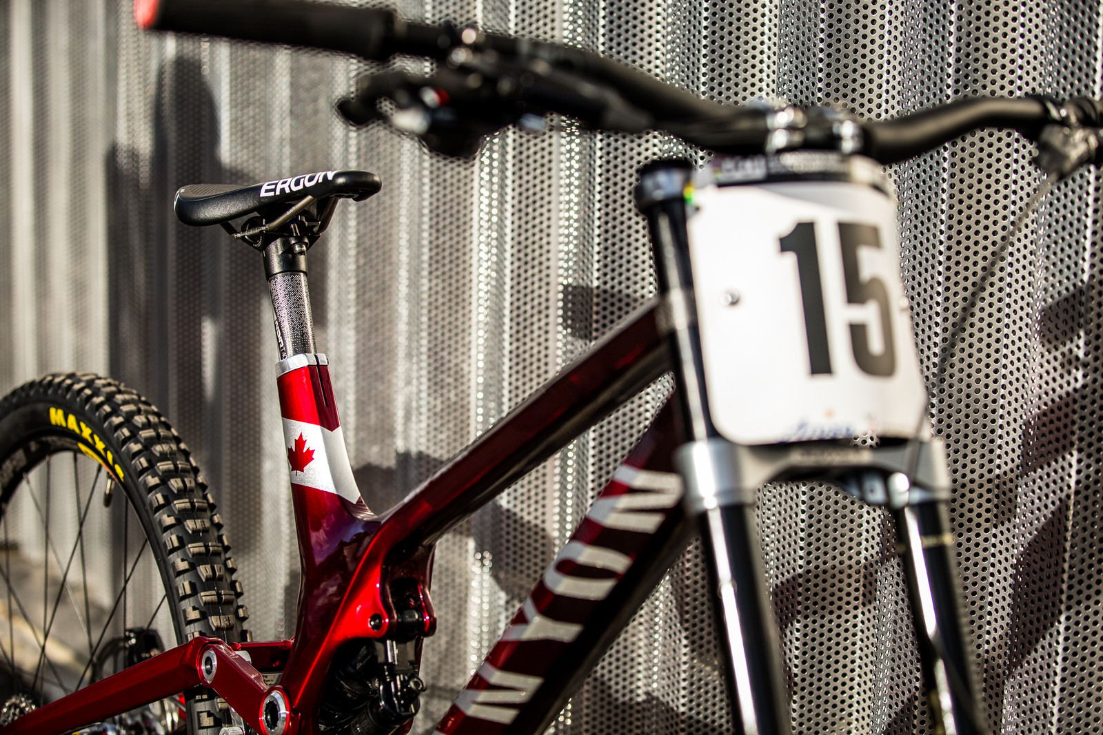 Sparkle-tastic - WORLD CHAMPS BIKES - Canyon Factory Racing - Mountain ...