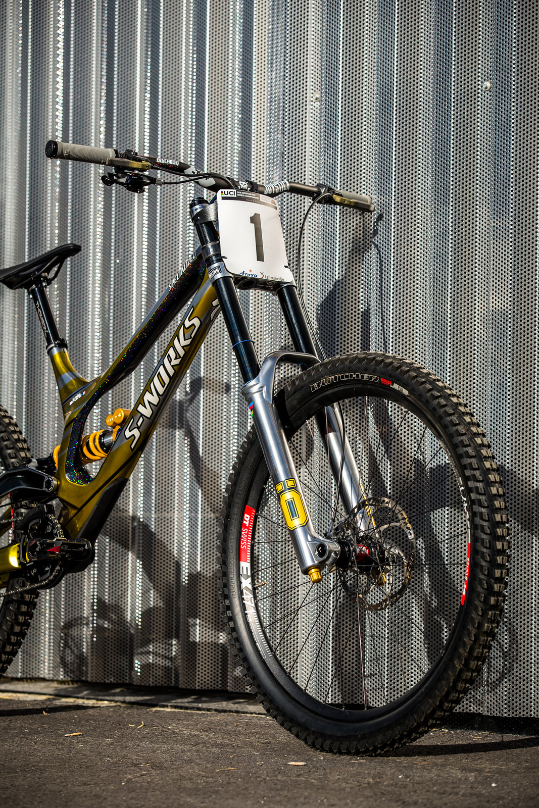 Silver Surfer Wrapped in Gold - WORLD CHAMPS BIKE - Loic Bruni's ...