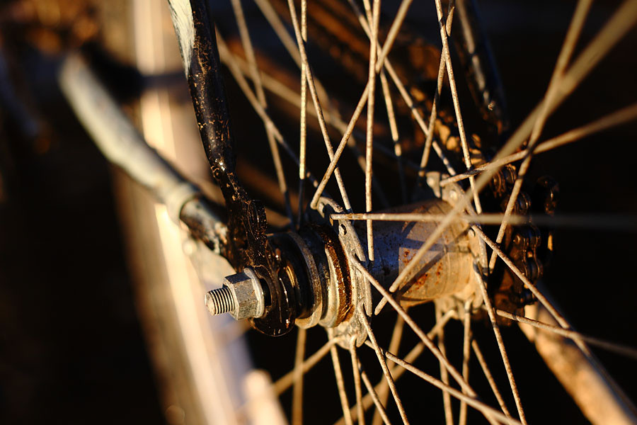 Coaster brake with about 1/4 crank of play - My Favorite Bike ...
