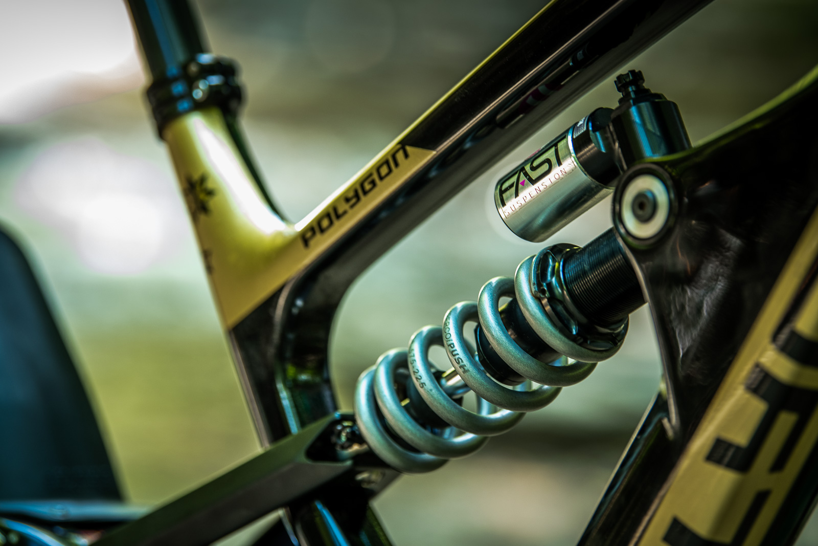 FAST Shock - Tracey and Mick Hannah's World Champs Polygon DH Race ...