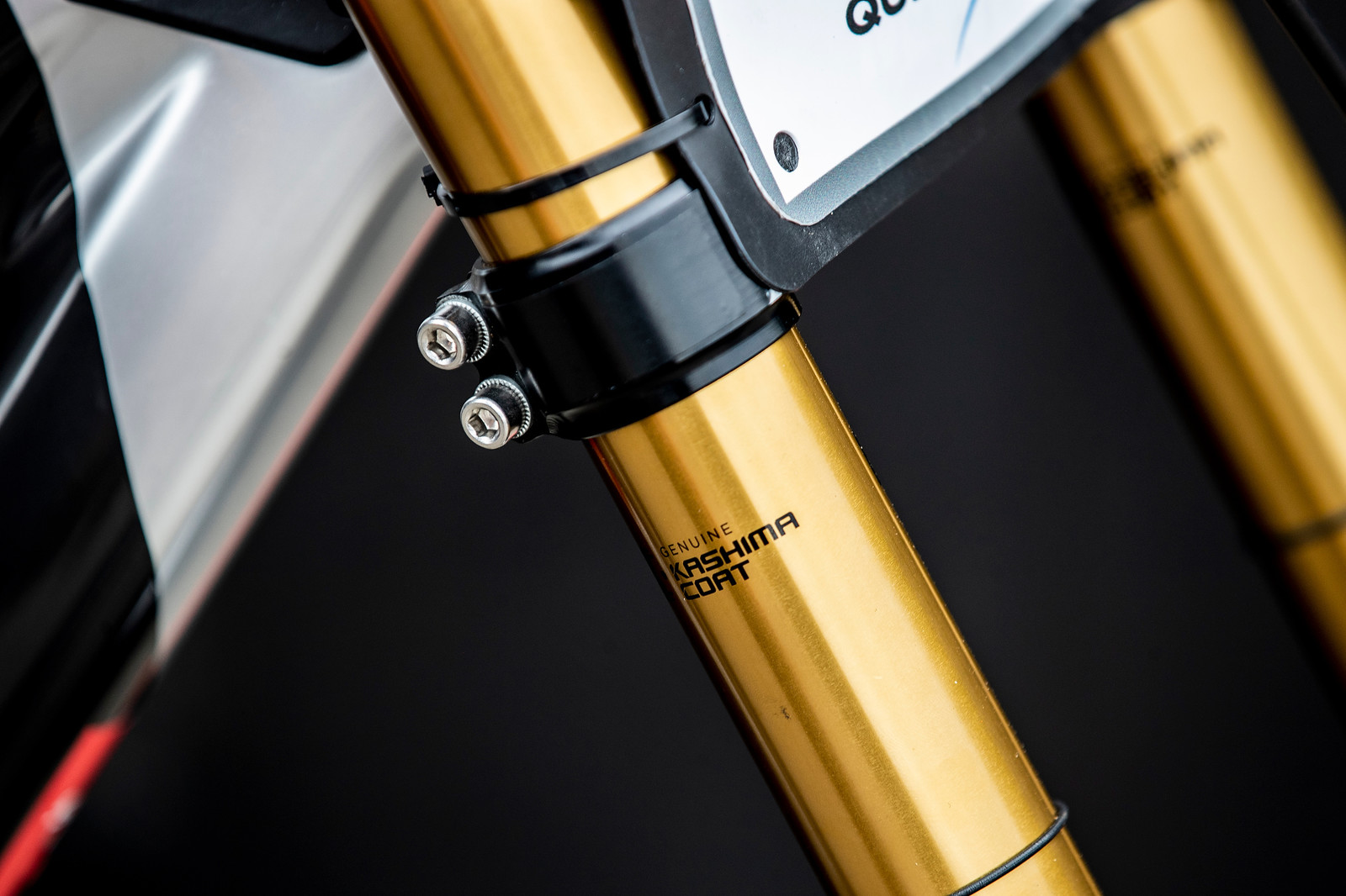 Now There's a Detail - Santa Cruz Syndicate 2019 World Championships ...