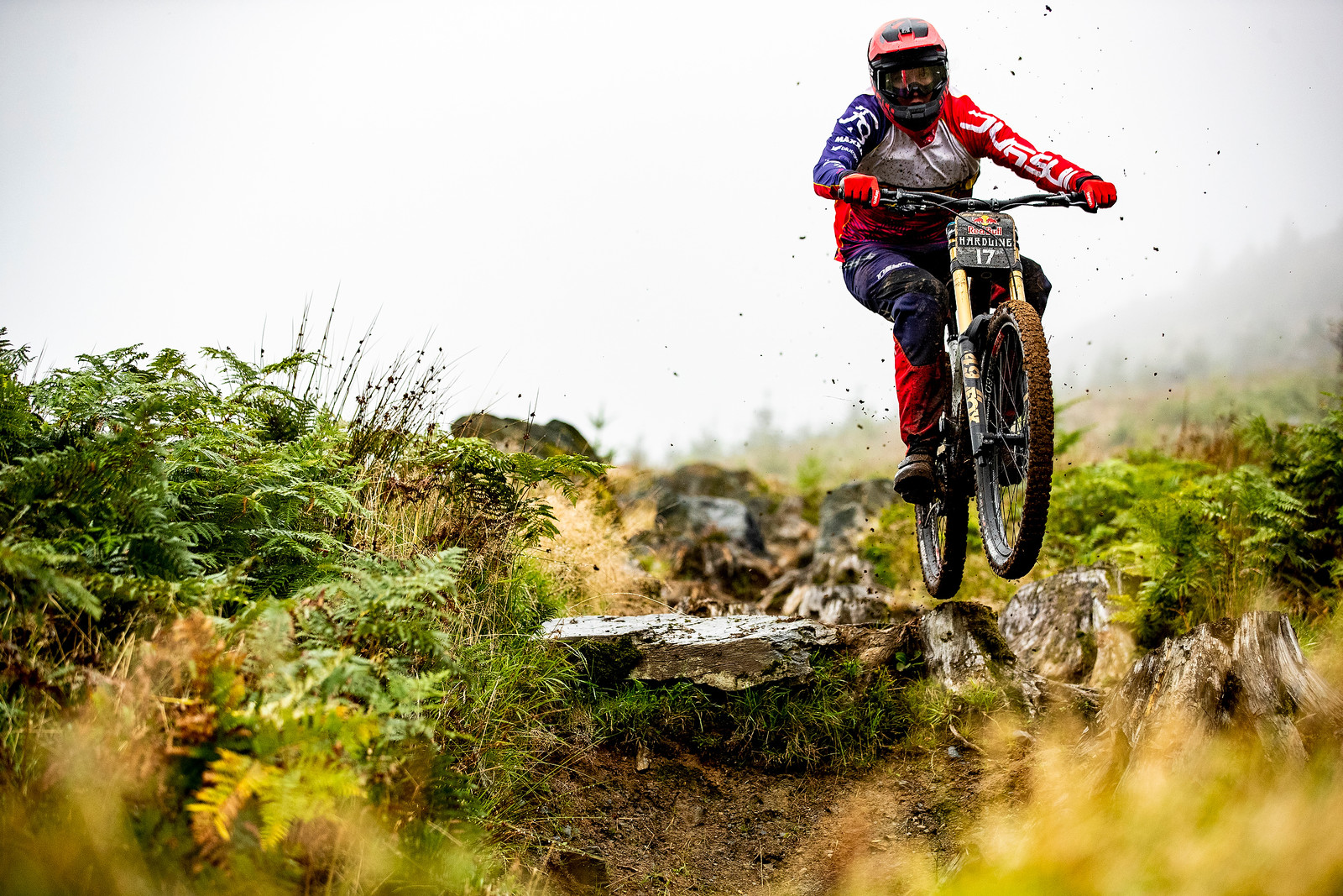 Harry Molloy - Red Bull Hardline in Photos - Mountain Biking Pictures ...