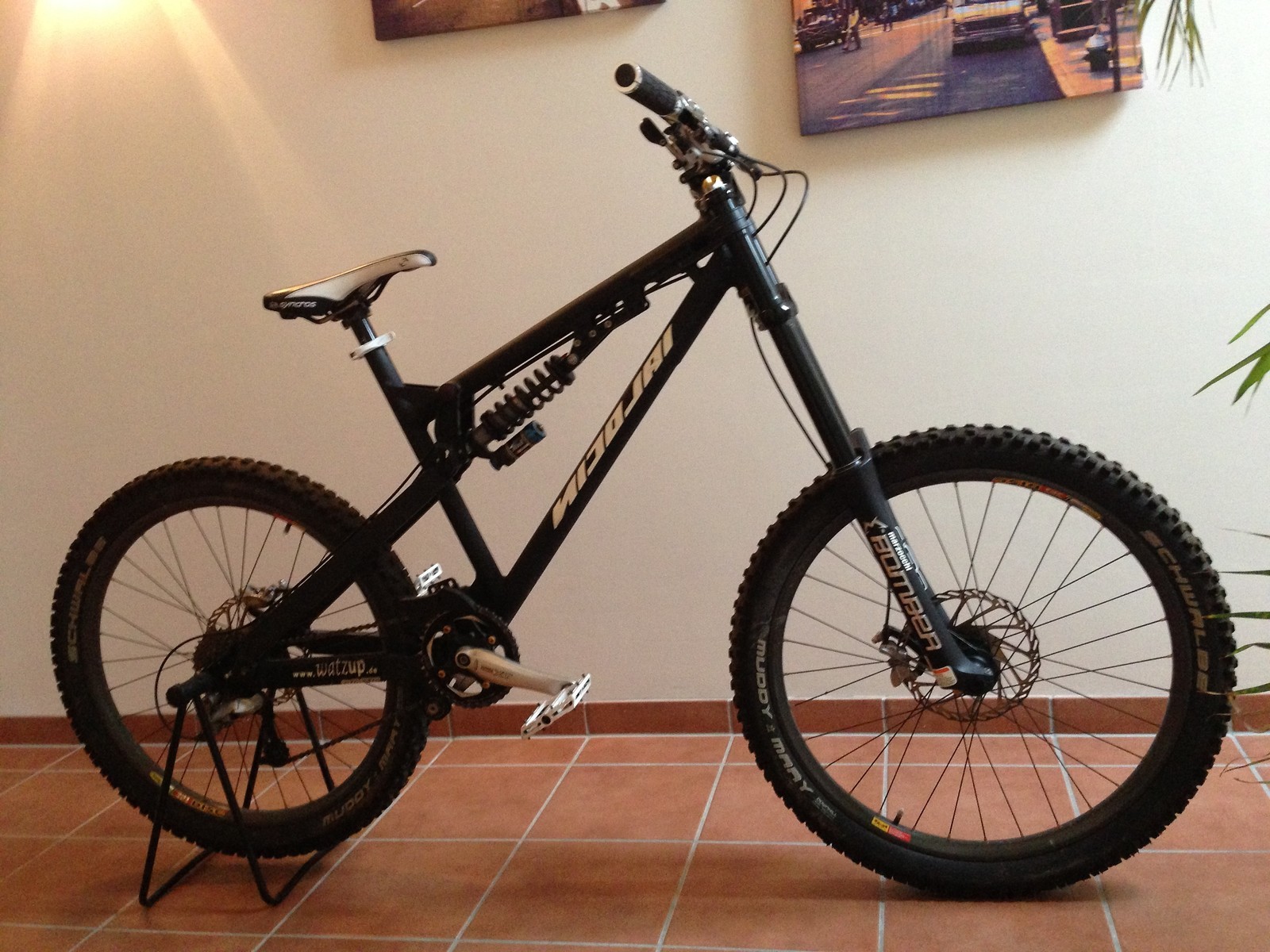 kingzoot77's Nicolai Helius ST 2005 - UNIQUE Mountain Bikes! Vital ...