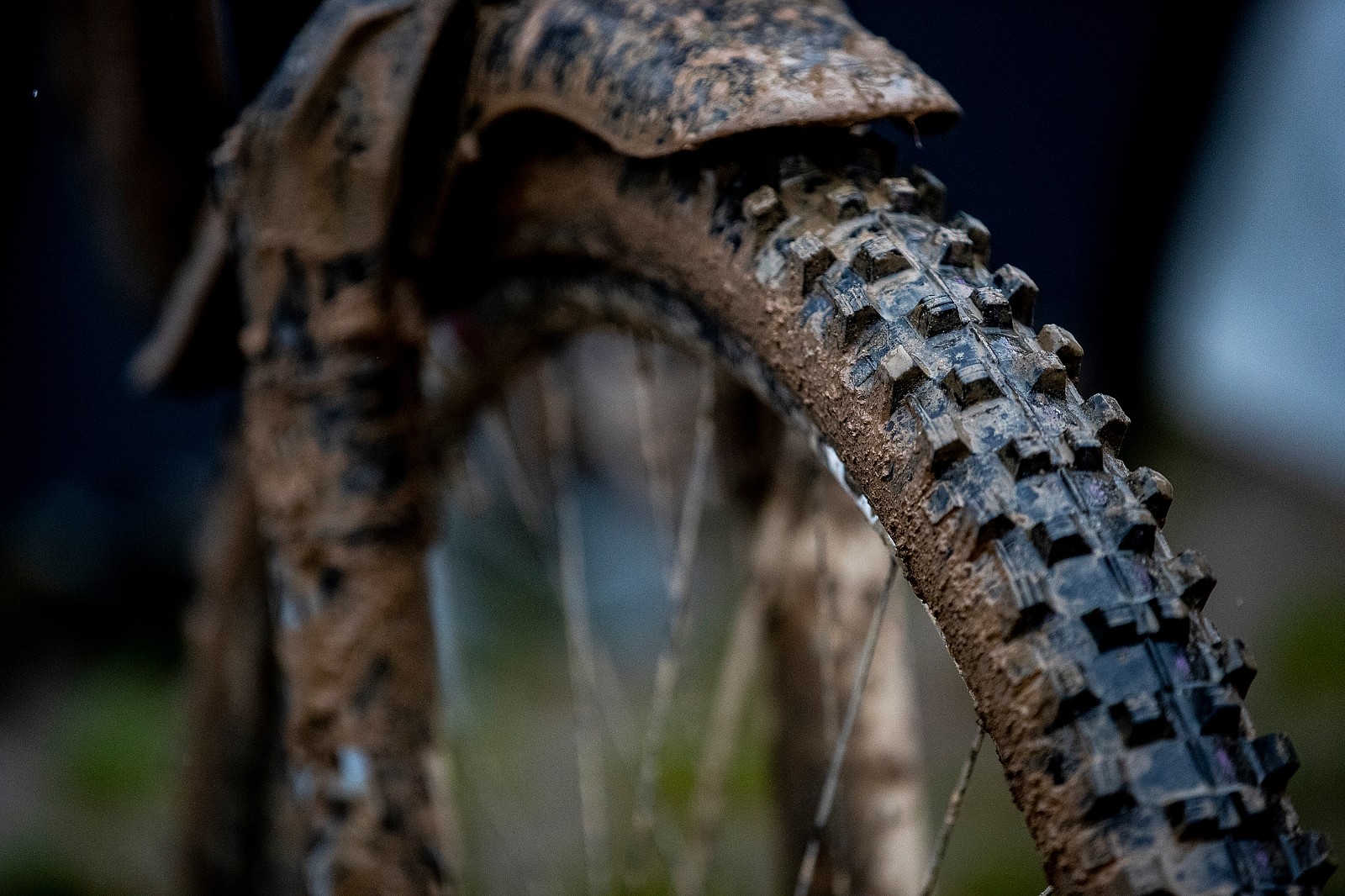 Schwalbe Dirty Dan Mud Spike - WINNING BIKE: Reece Wilson's Trek ...