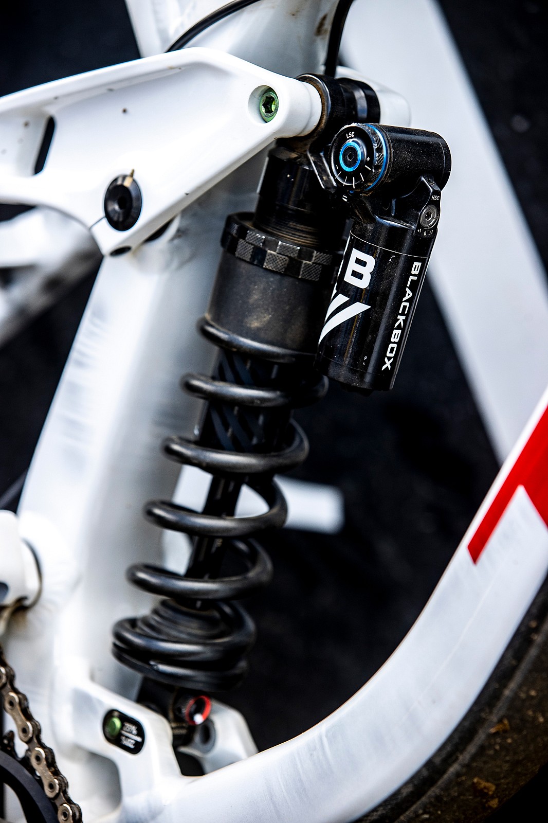 BlackBox - WINNING BIKE - Loris Vergier's Trek Session - Mountain ...