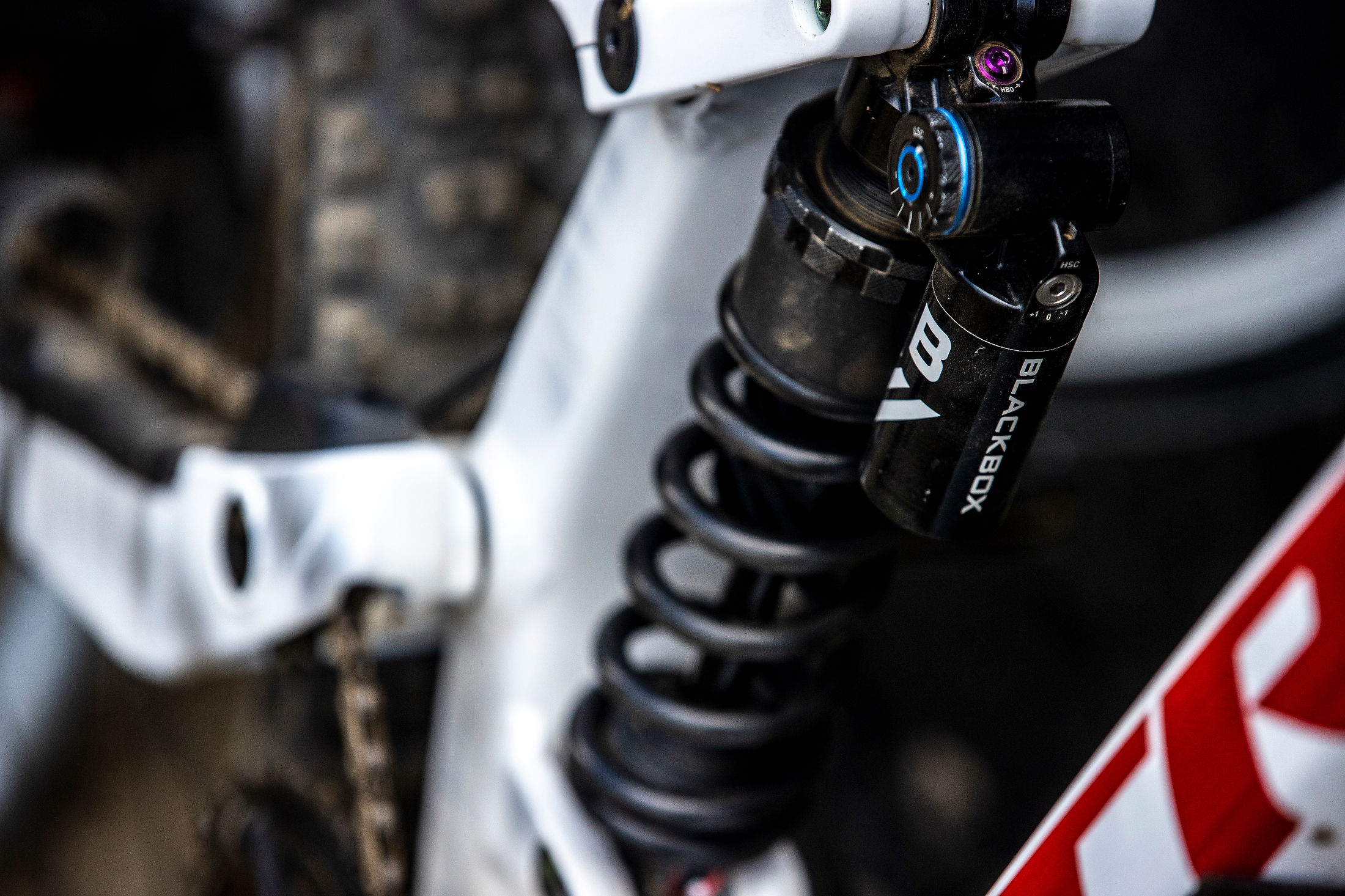 BlackBox - WINNING BIKE - Loris Vergier's Trek Session - Mountain ...