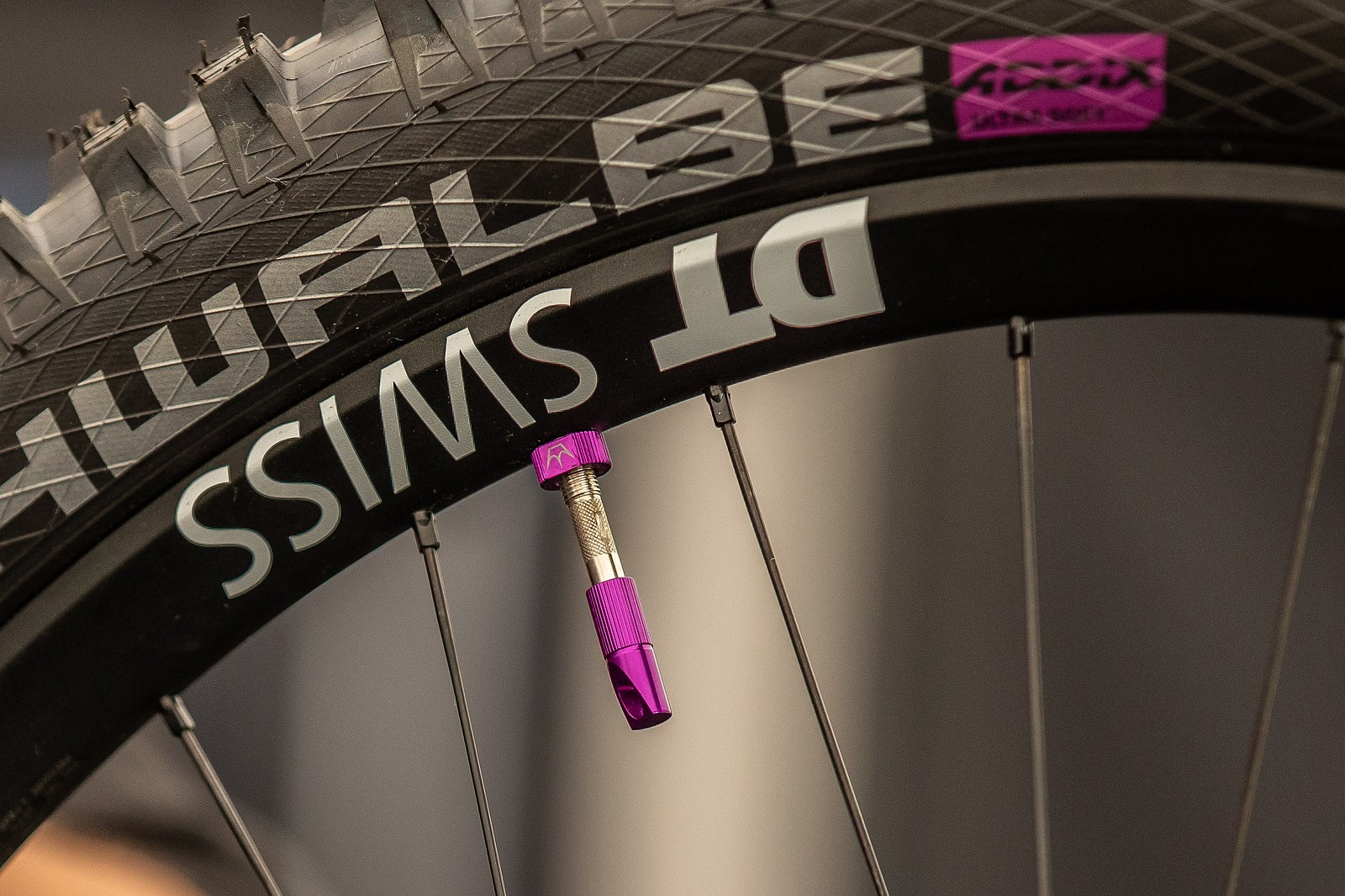 Phoebe Gale's Canyon Sender Some sick looking Peaty's valves - PIT BITS ...