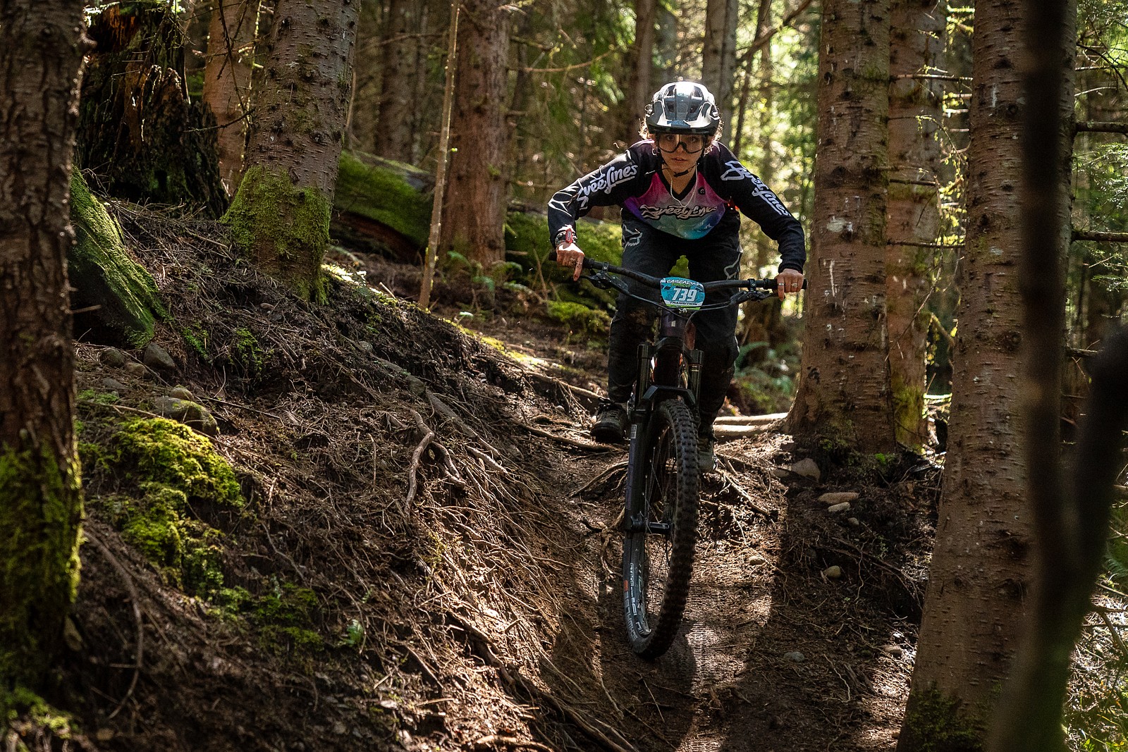 Chloe Bear enjoying the tacky dirt of lower Predator - CDC Groms ...