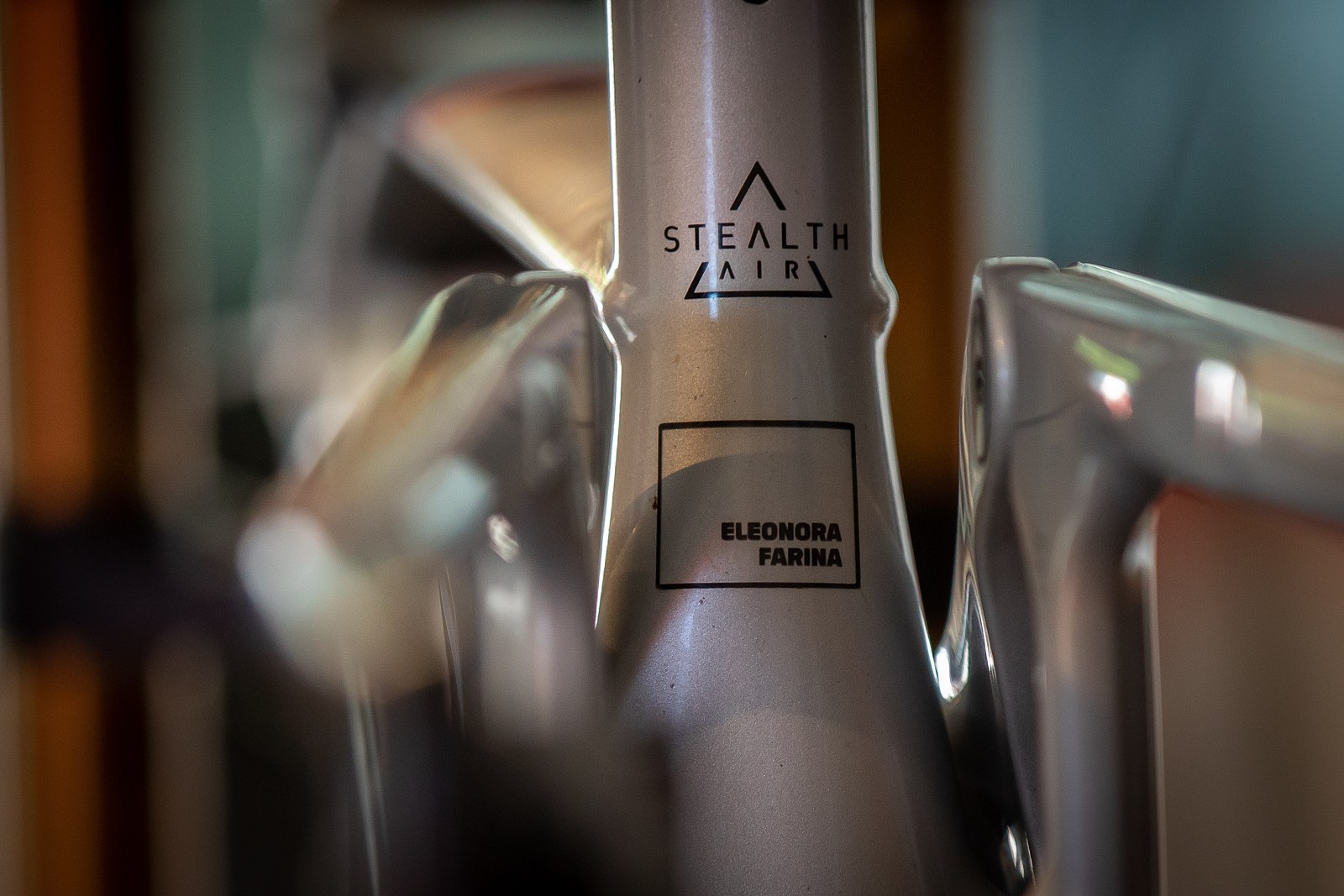 Eleonora Farina's Mondraker Summum - PIT BITS 1 - Leogang World Cup ...