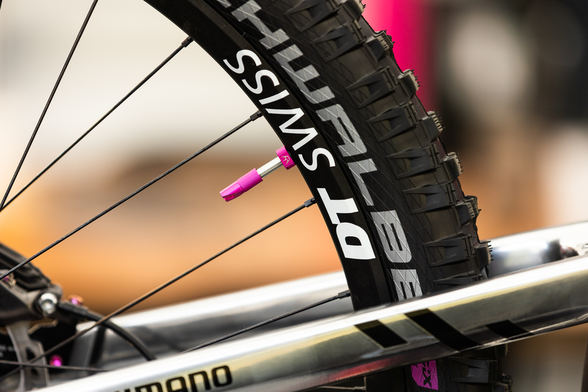 Pink valves - PIT BITS - World Champs 1 - Mountain Biking Pictures ...
