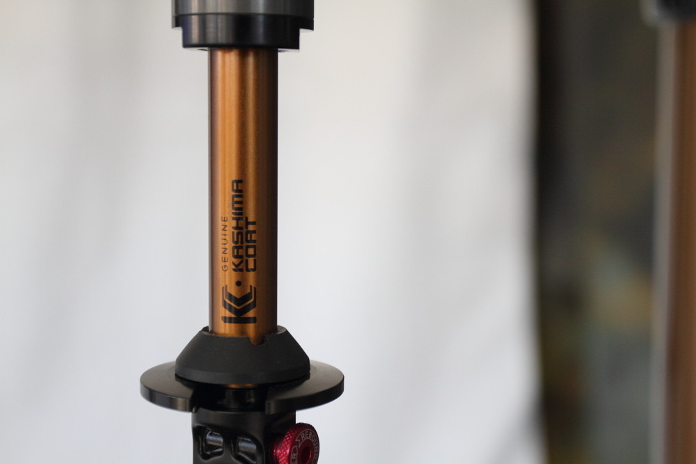 Kashima Coat on Fox Shox - Sea Otter Pit Bits from gordo, Day 2 ...