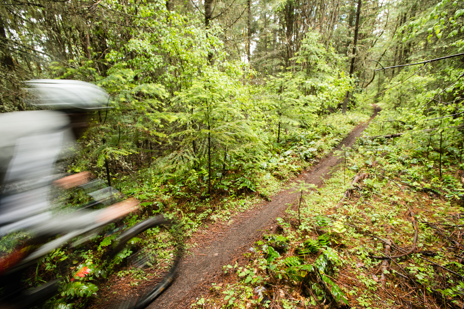 Incredible Ashland Singletrack - 2012 Ashland Mountain Challenge ...
