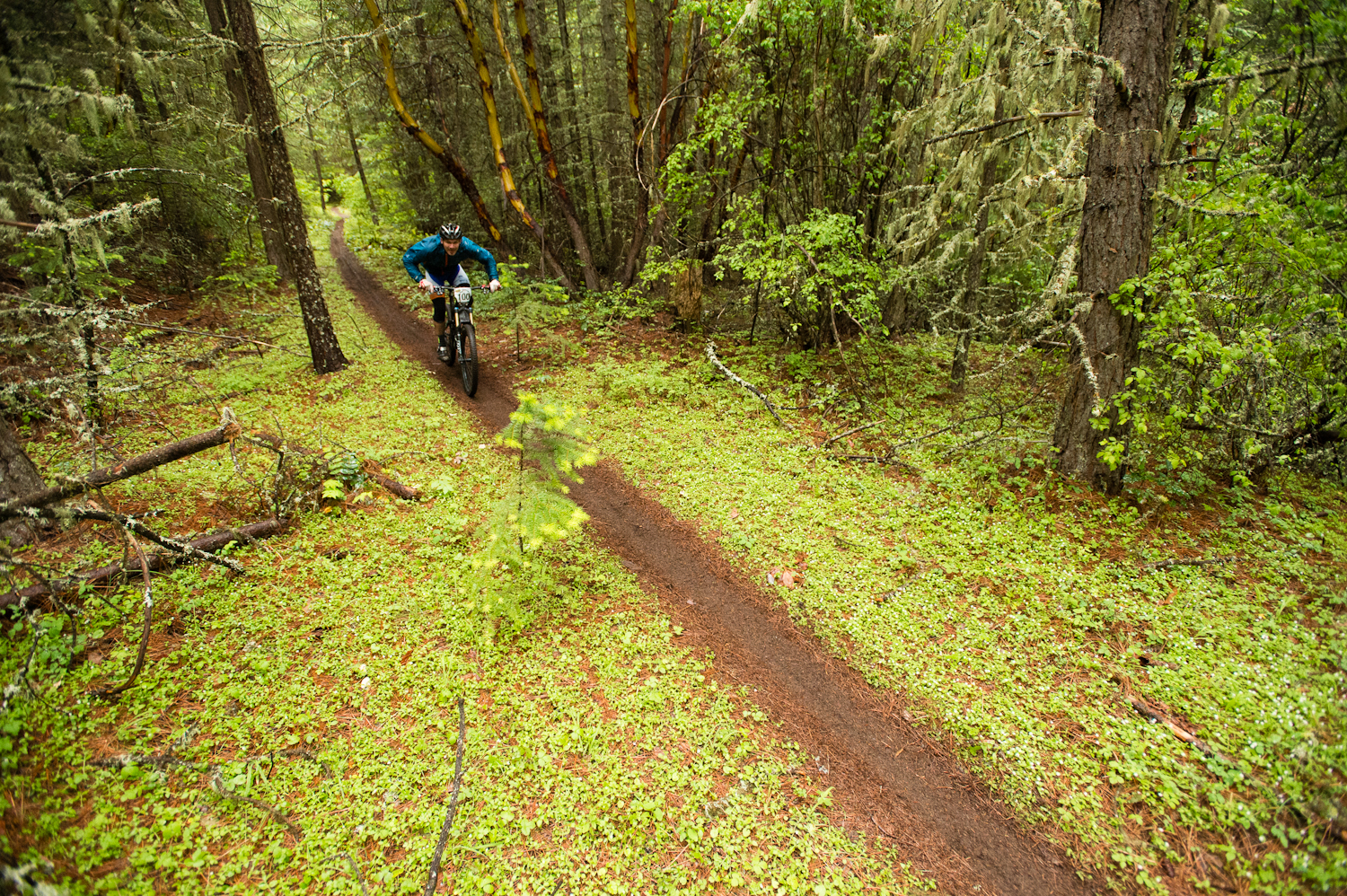 The Trails Dreams Are Made Of. Scott Ender at the Ashland Mountain ...